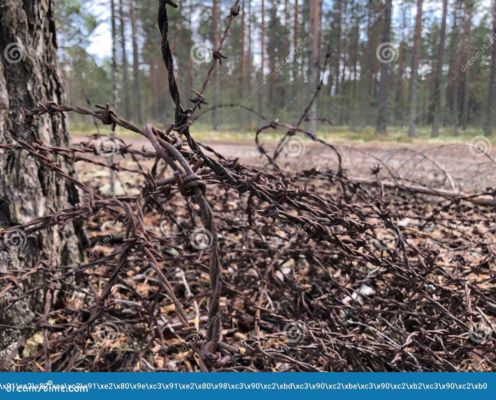 A Metal Product in the Form of a Thread, a Thin Rod with Sharp Spikes ...