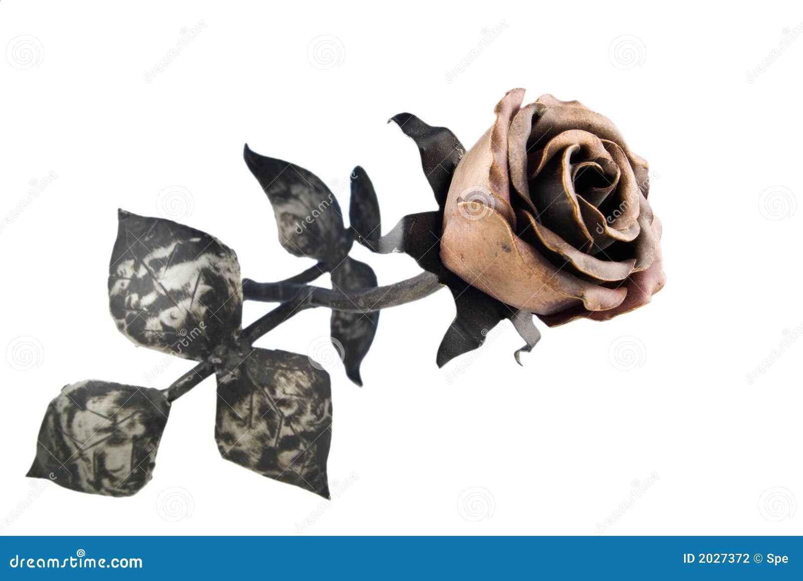 Metal rose stock photo. Image of chrome, beautiful, gold - 2027372