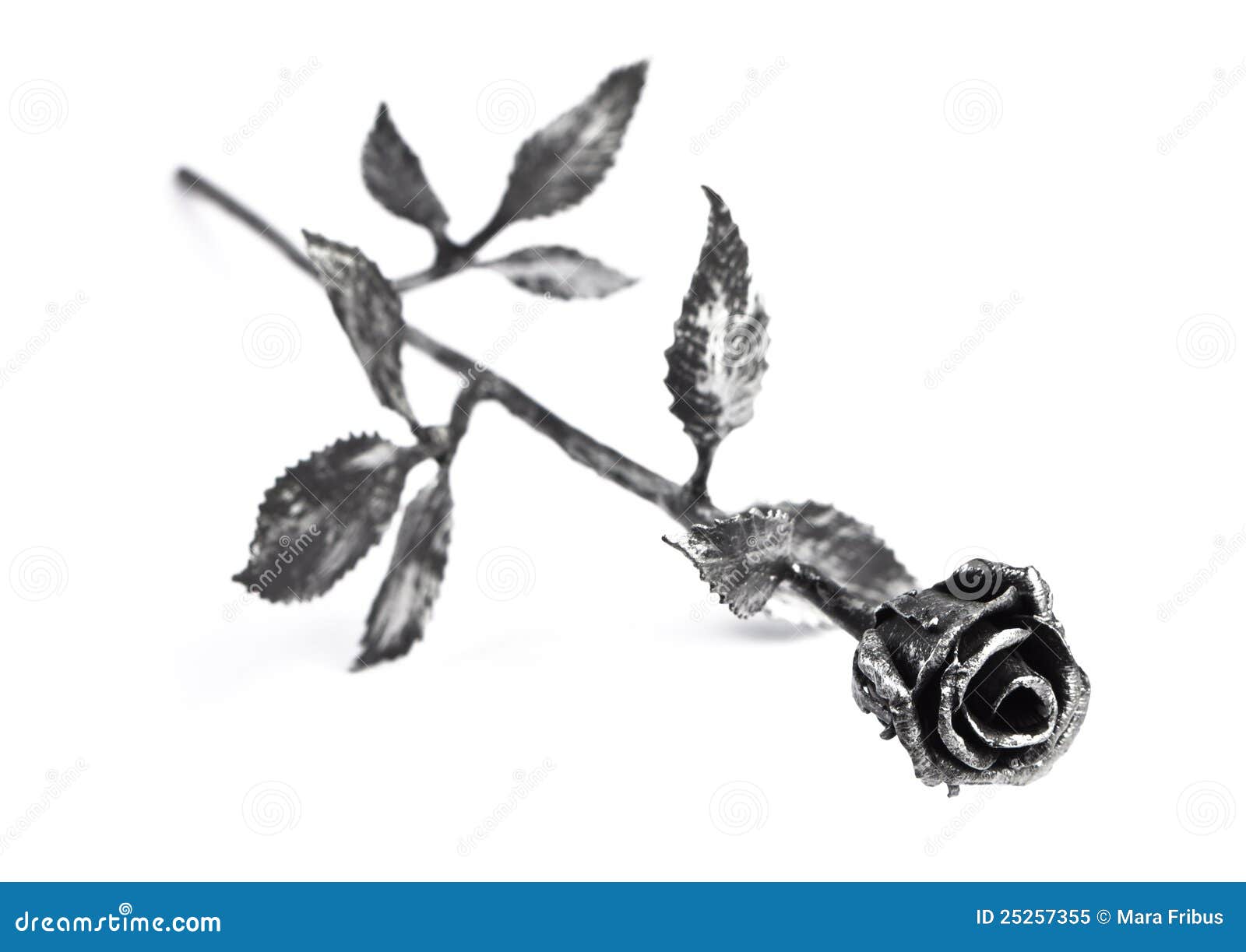 Metal rose stock image. Image of metallic, gothic, flower - 25257355