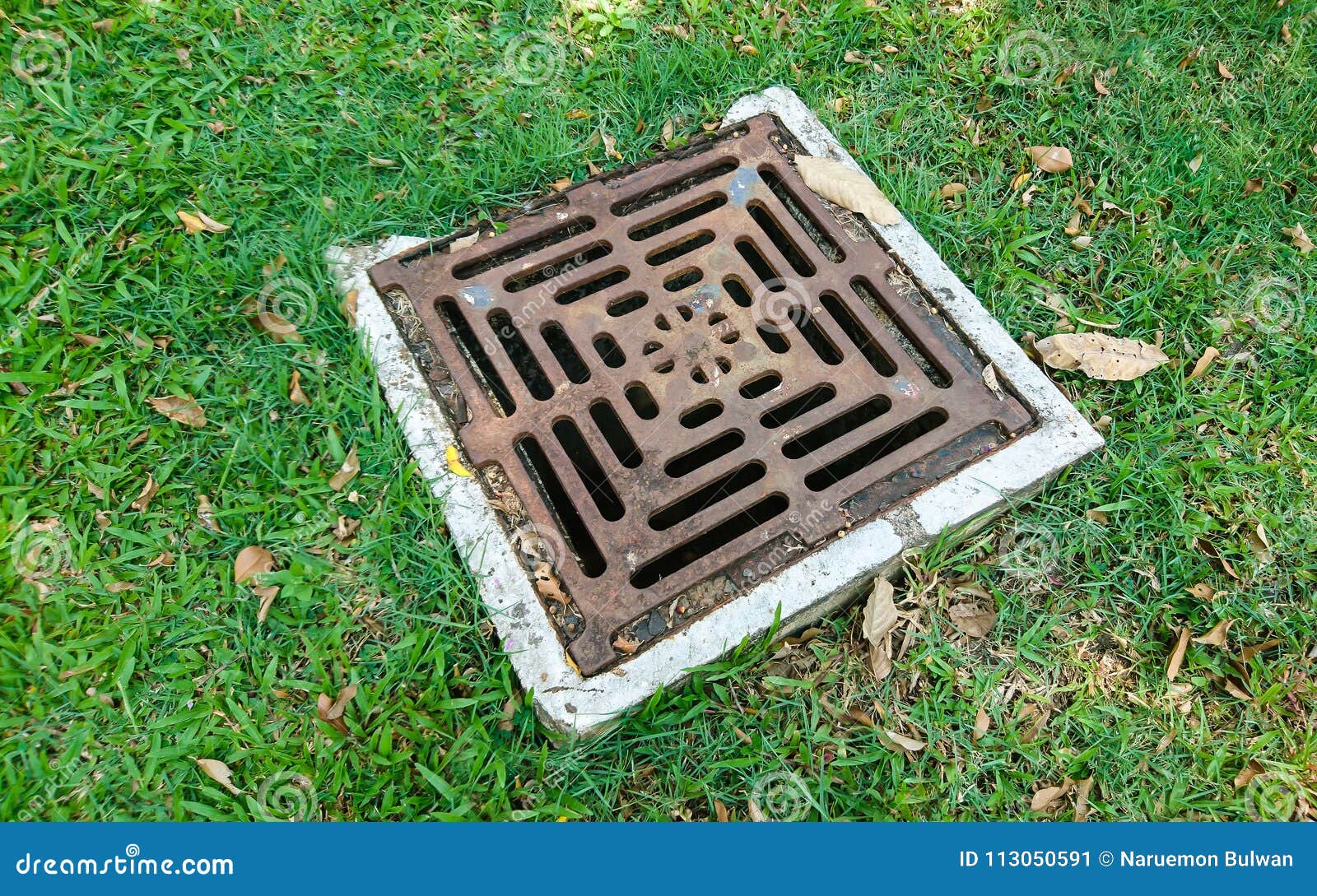 Metal Sewer Drainage in Garden Stock Image - Image of background, field ...