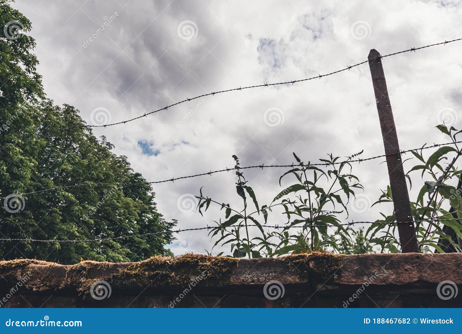 Sharp Fence Stock Image | CartoonDealer.com #88372201