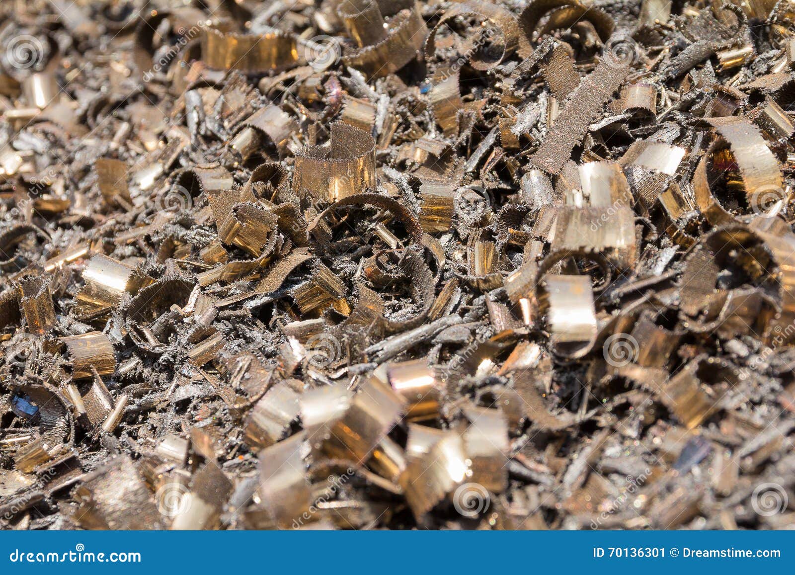 Royalty Free Images, Cartoons, Illustrations And Photos Designed By ...