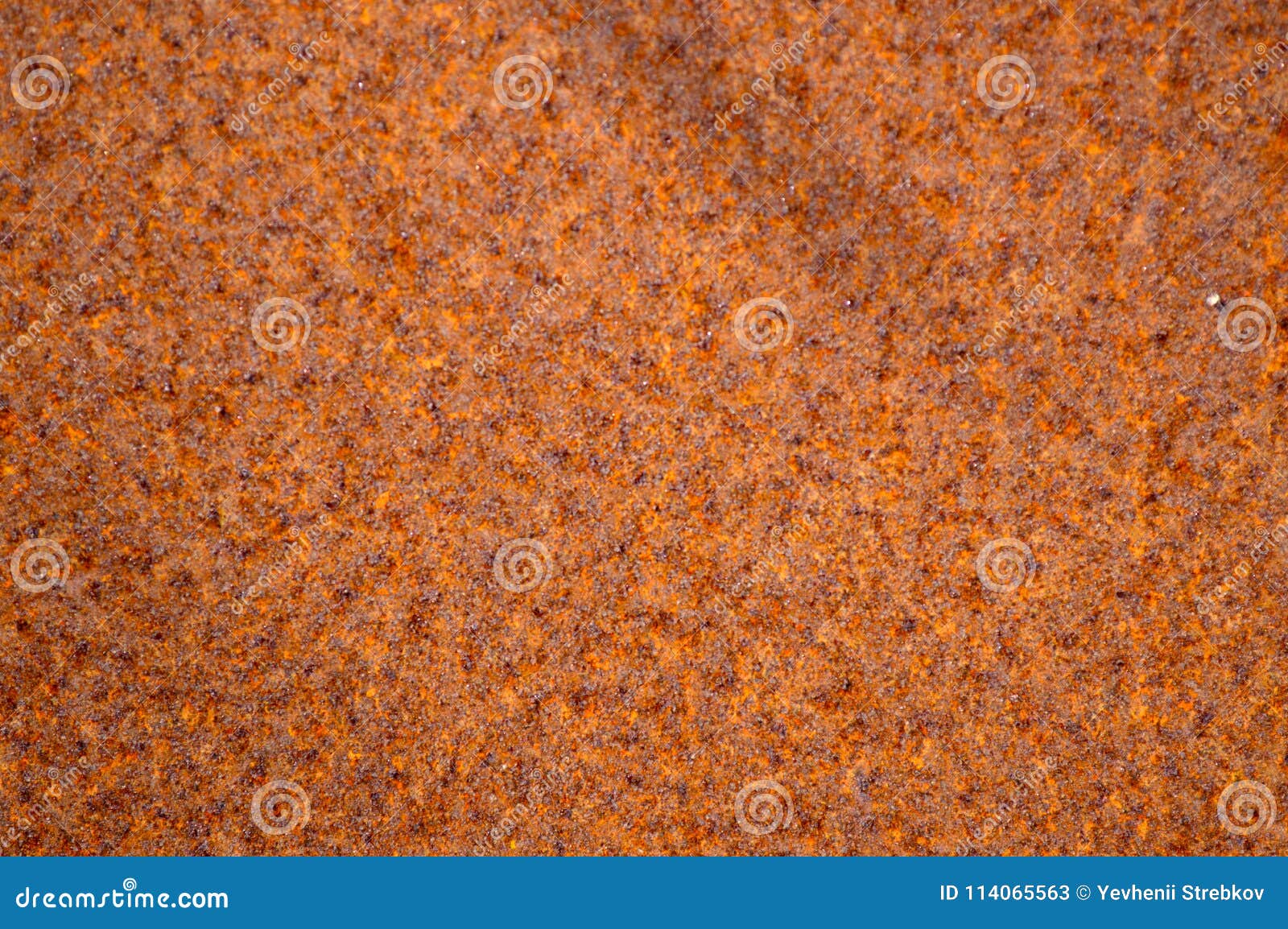Rusty metal sheet stock image. Image of rust, iron, texture - 114065563