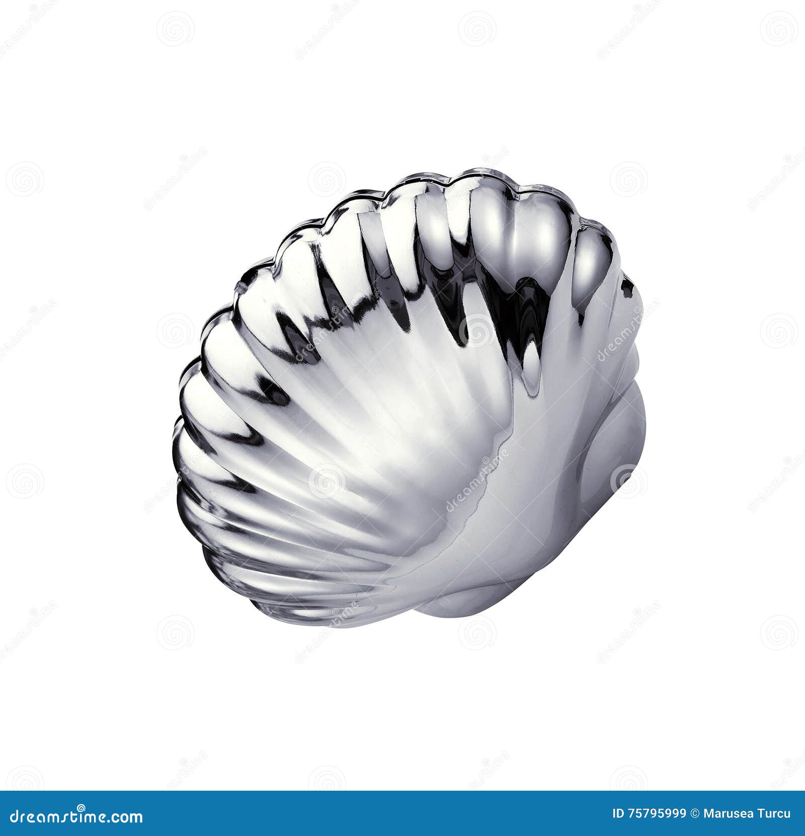 Metal Shell Isolated on White Stock Illustration - Illustration of ...