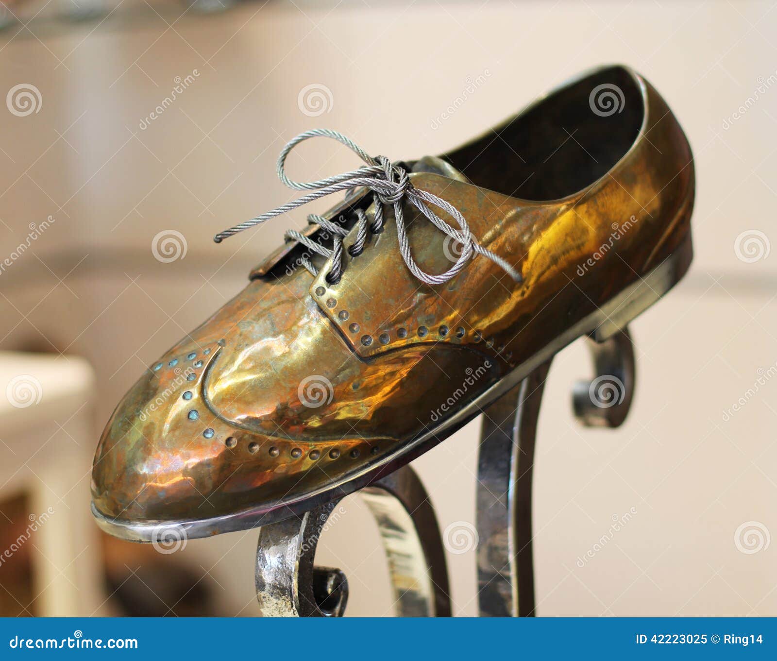 Metal shoes stock image. Image of shine, lace, shoes - 42223025