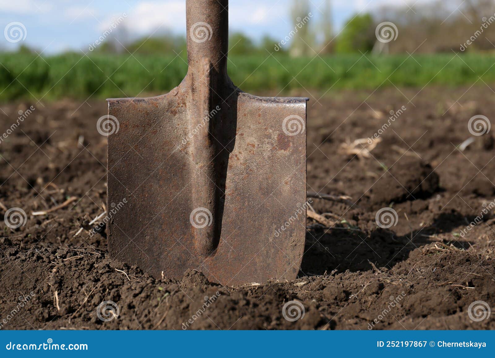 Metal Shovel in Soil Outdoors. Gardening Tool Stock Image - Image of ...