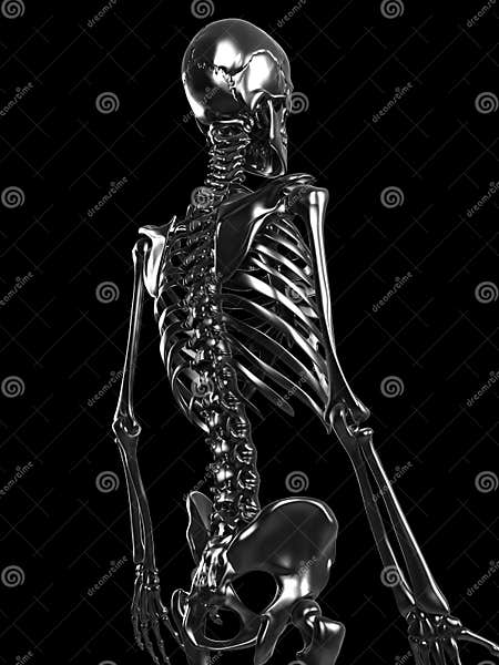 Metal skeleton stock illustration. Illustration of human - 30722038