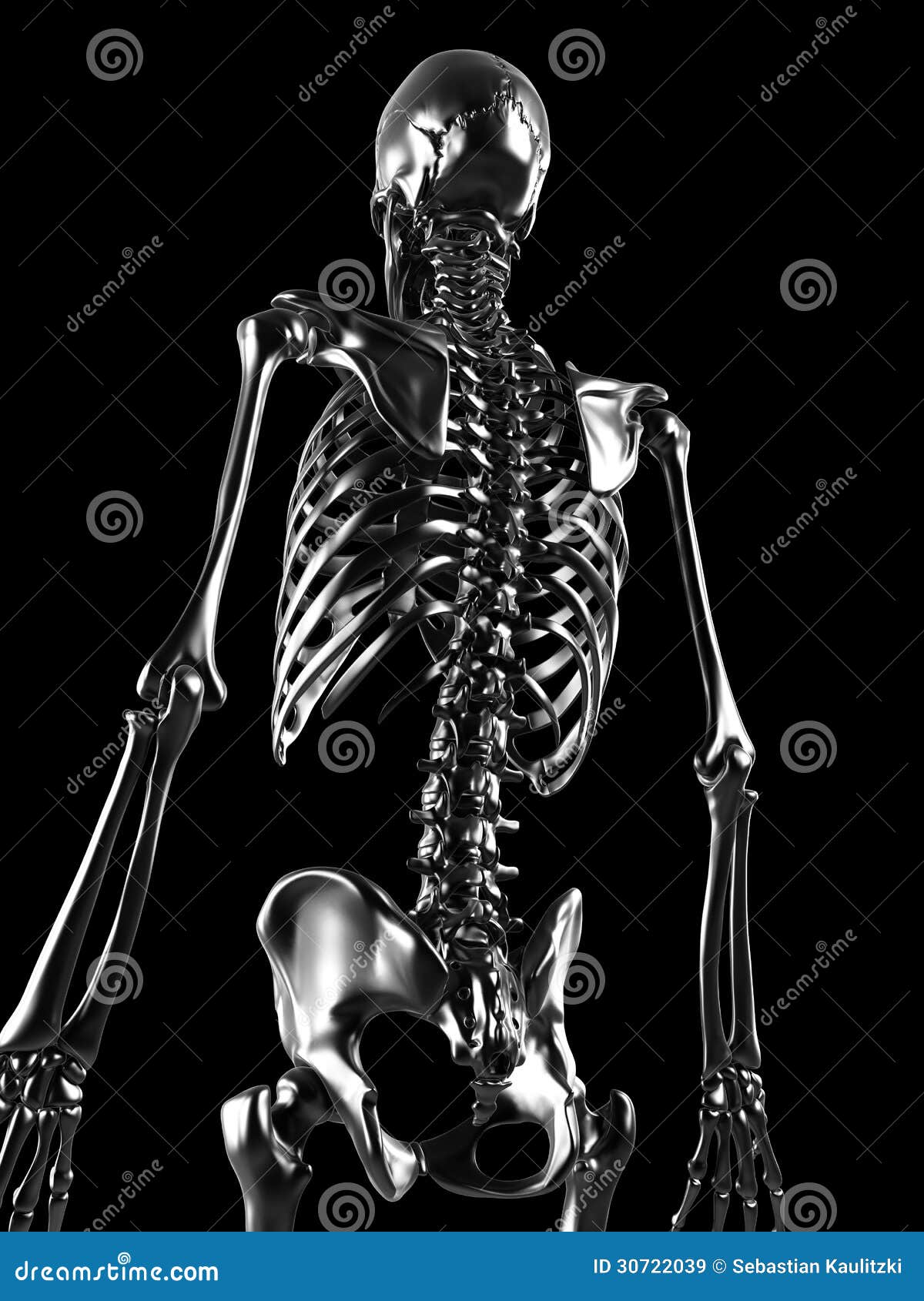 Metal skeleton stock illustration. Illustration of rendering - 30722039