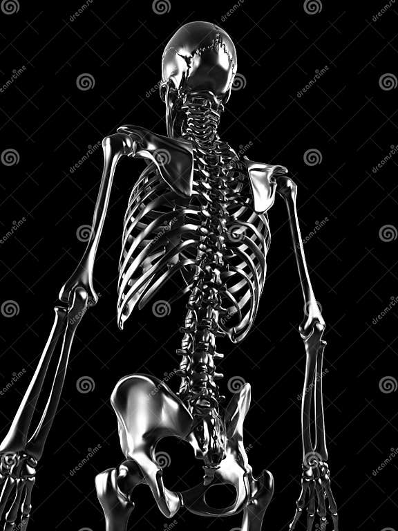 Metal skeleton stock illustration. Illustration of rendering - 30722039