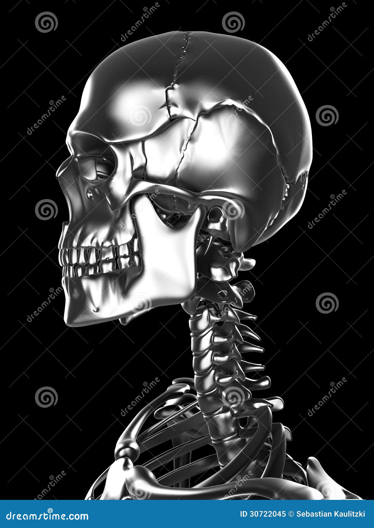 Metal skeleton stock illustration. Illustration of brushed - 30722045