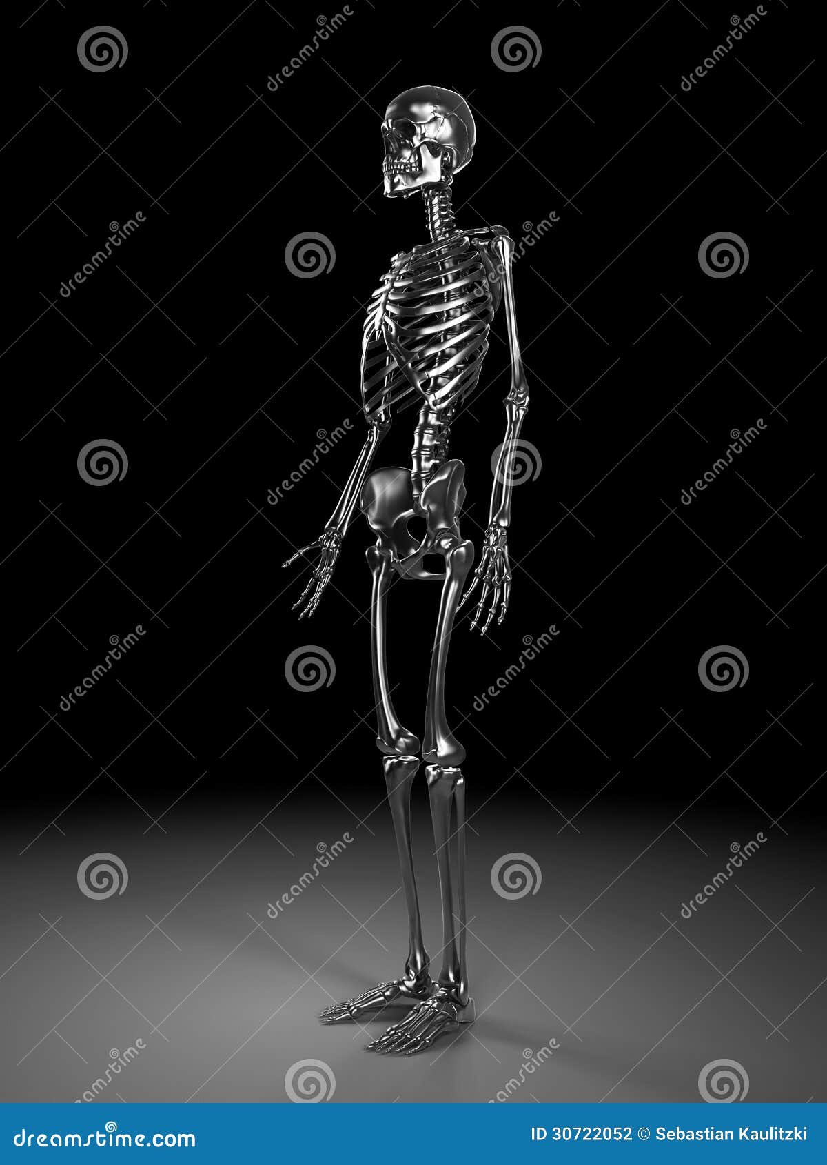 Metal skeleton stock illustration. Illustration of chrome - 30722052