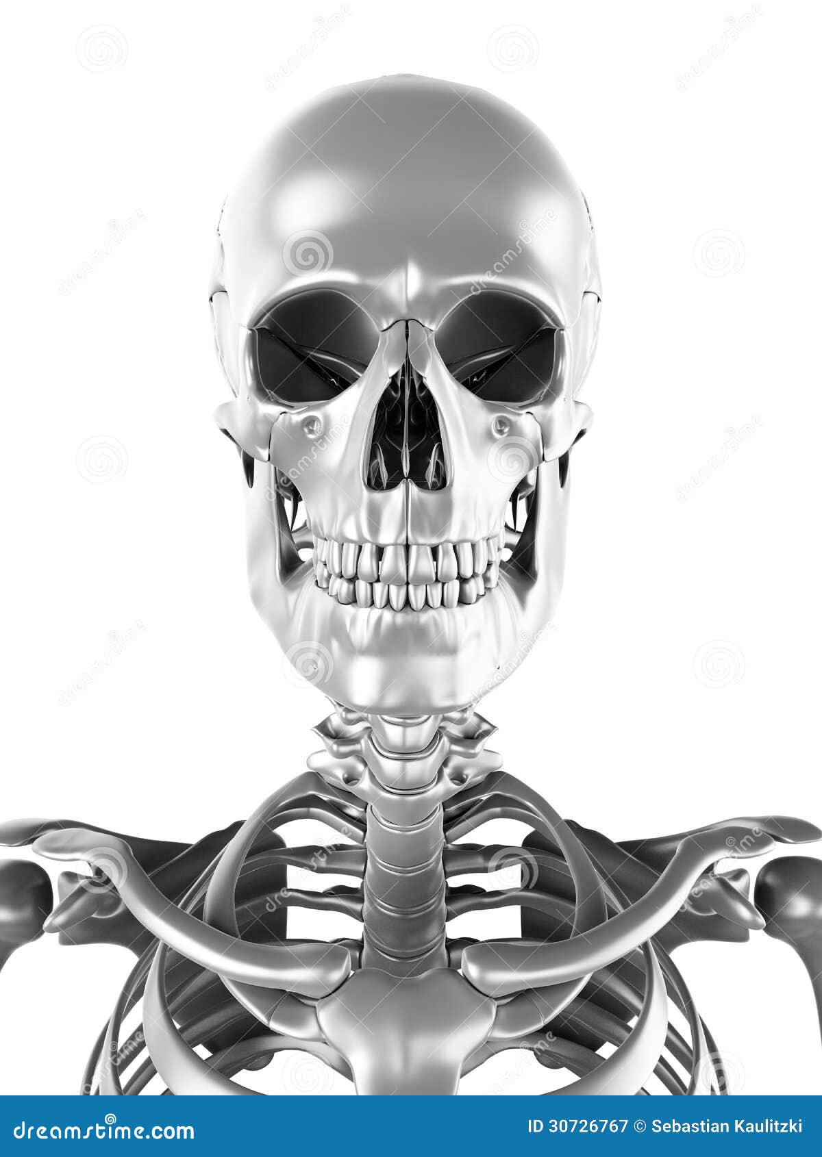 Metal skeleton stock illustration. Illustration of rendering - 30726767