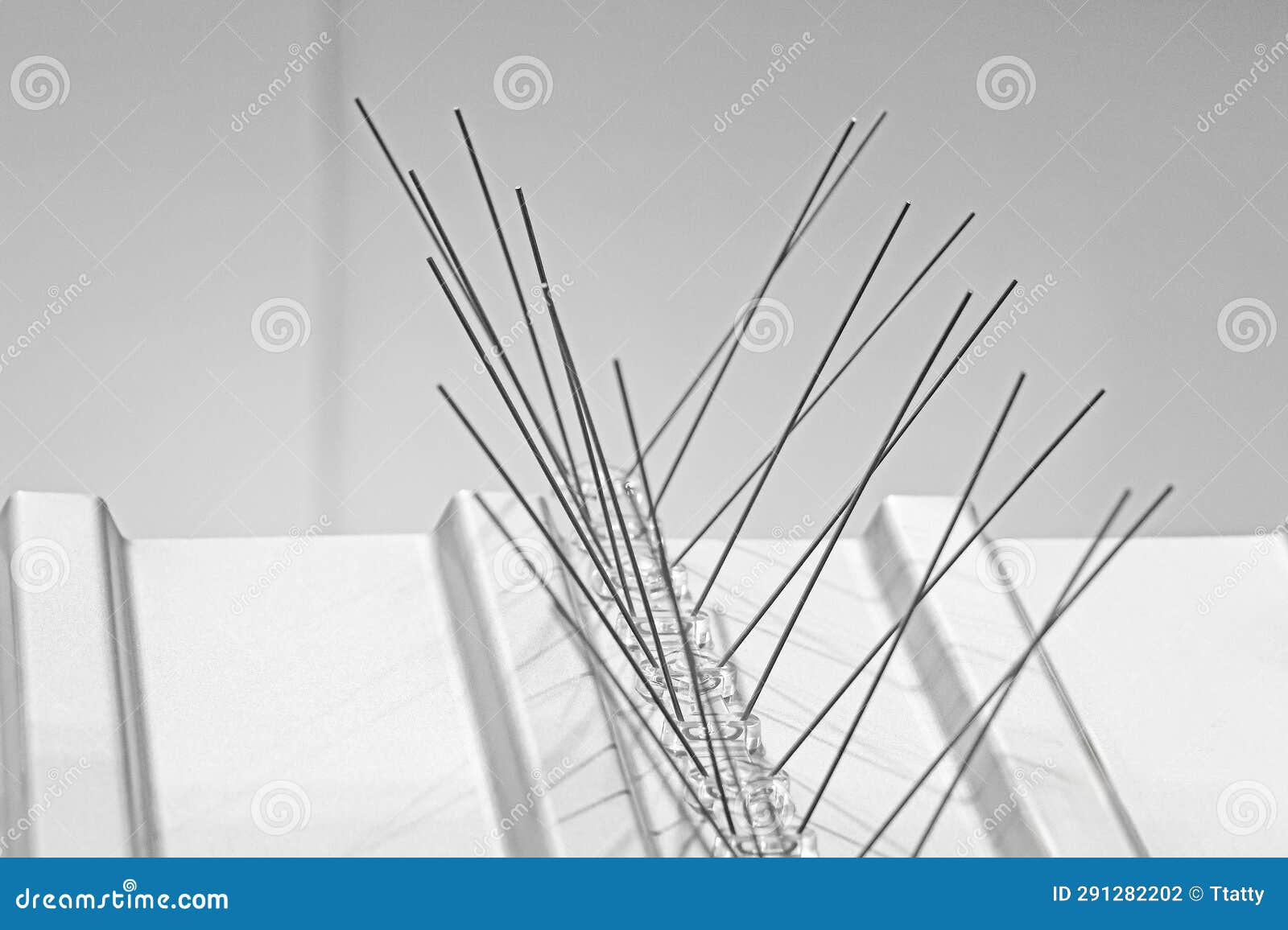 Metal Spikes Pigeon Protection Stock Photo - Image of serve, preventing ...