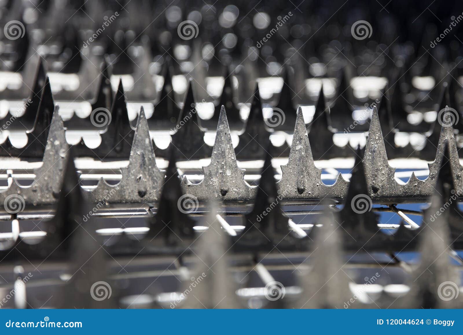 Metal spikes rows stock photo. Image of pointed, metallic - 120044624