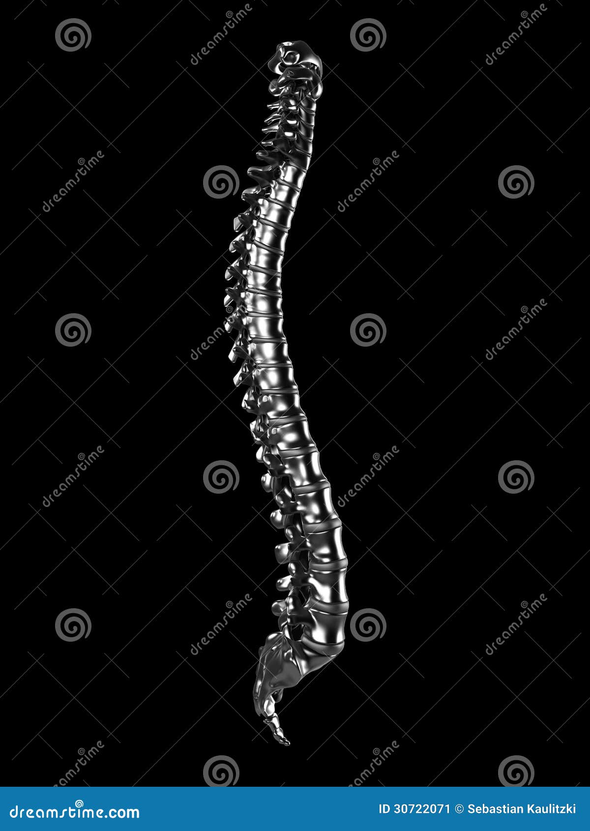 Metal spine stock illustration. Illustration of metal - 30722071