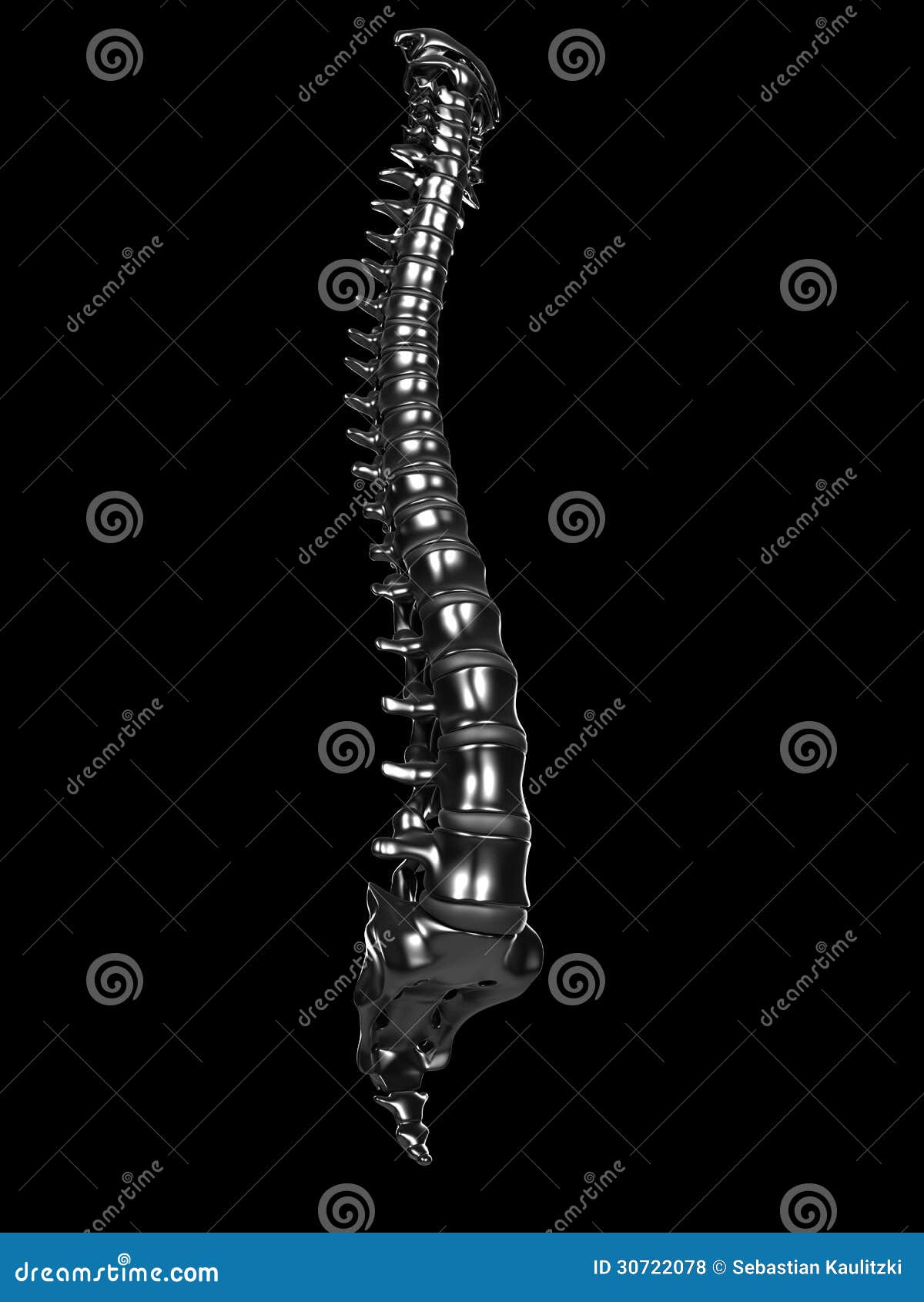 Metal spine stock illustration. Illustration of body - 30722078