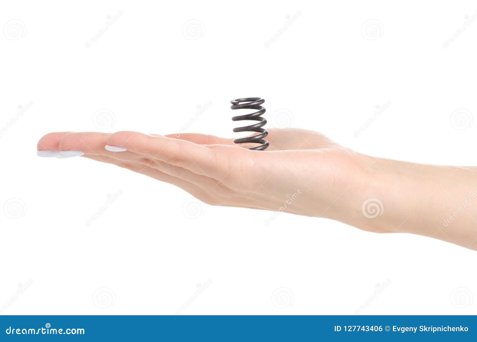 Metal spring in a hand stock photo. Image of chrome - 127743406
