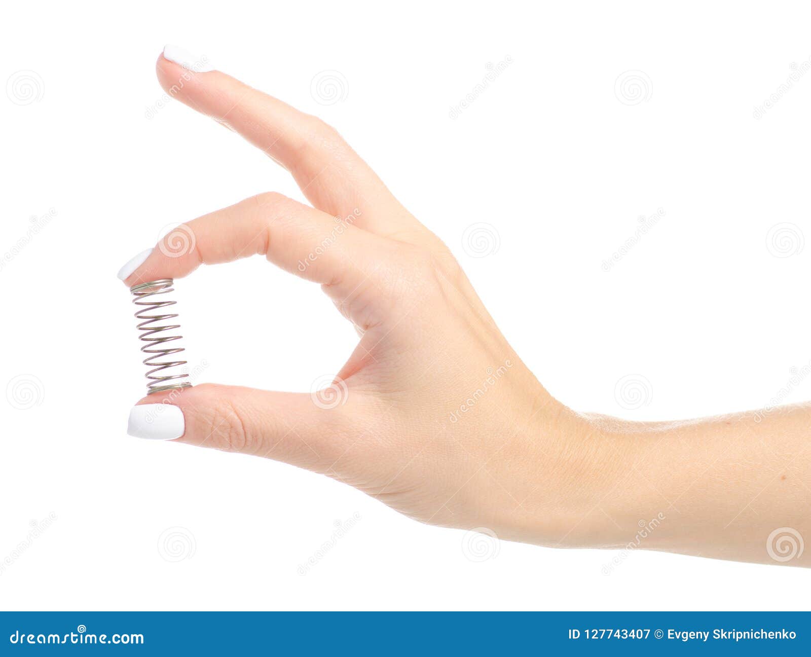 Metal spring in a hand stock image. Image of human, force - 127743407