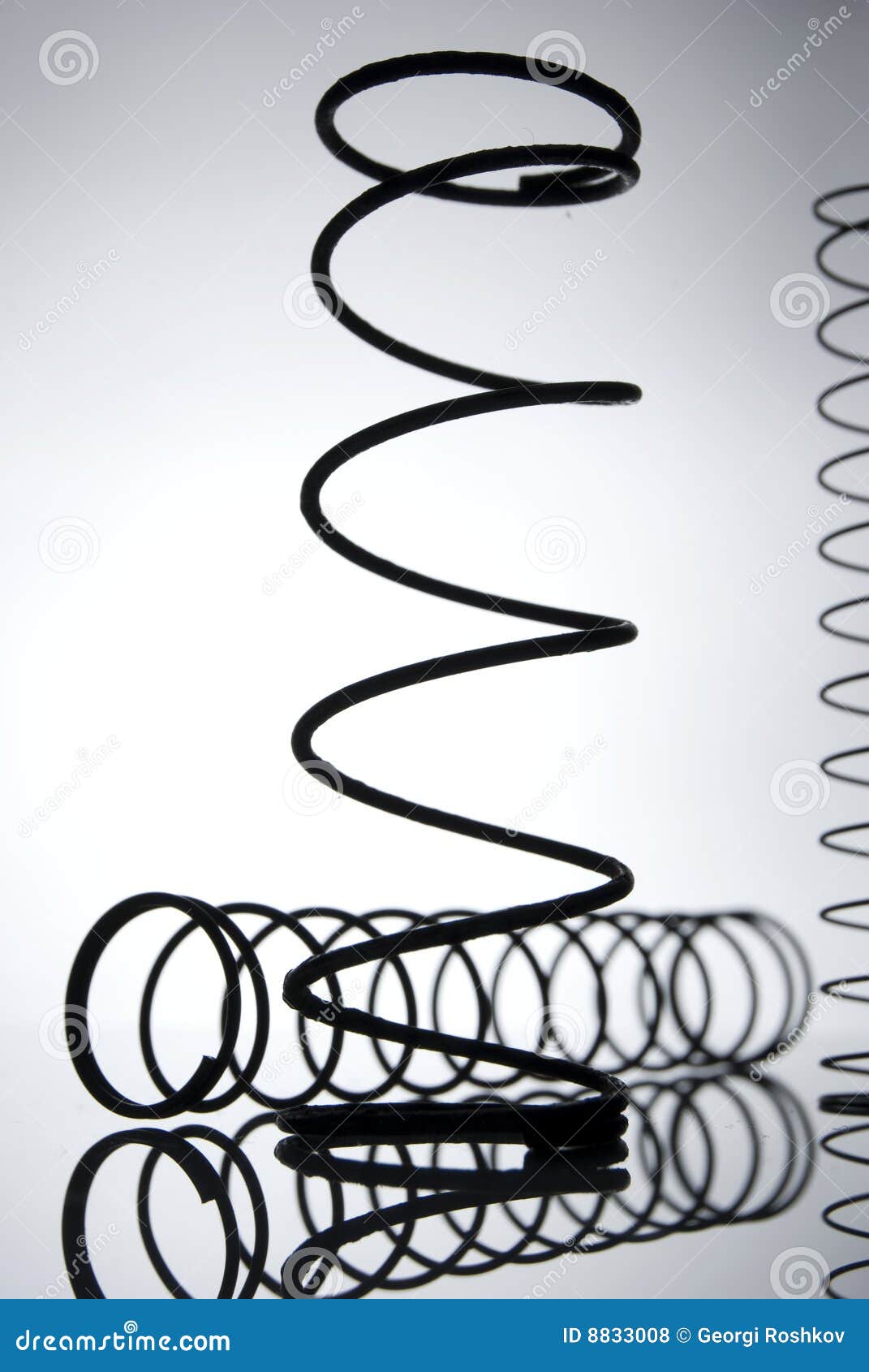 Metal springs stock photo. Image of technical, iron, straighten - 8833008