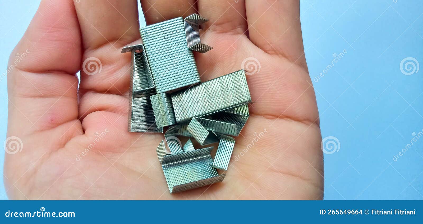 Metal Staples for Stapler in Hand on Blue Background Stock Photo ...