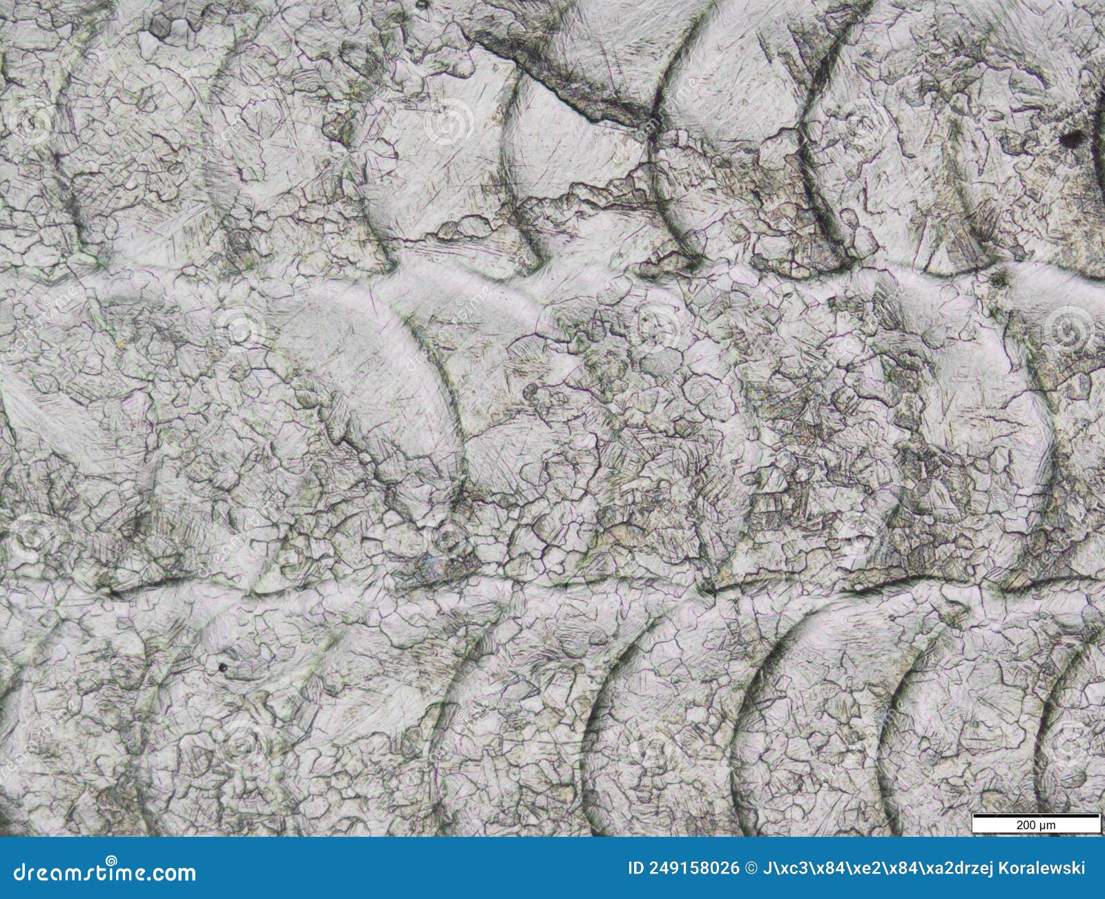 Structure Of Laser Titanium Under A Microscope. Stock Photo ...