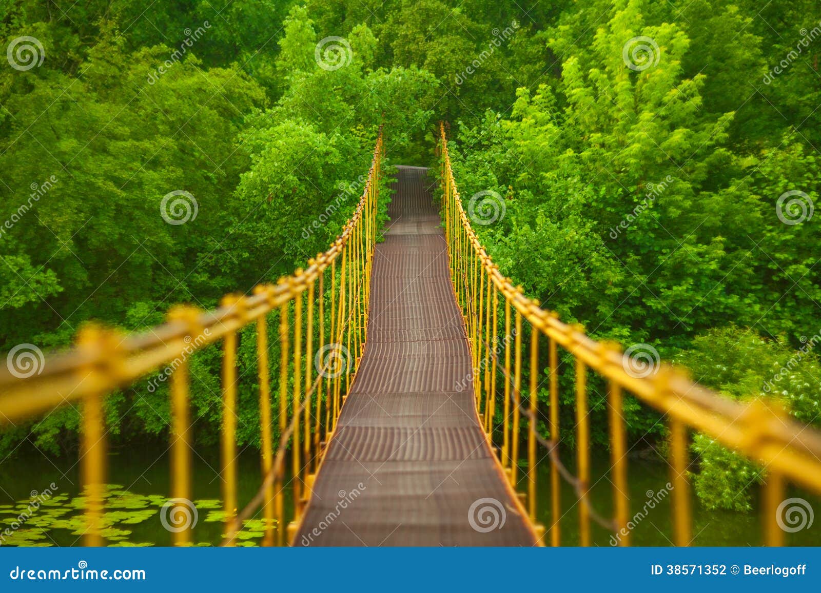Metal suspension bridge stock photo. Image of perspective - 38571352