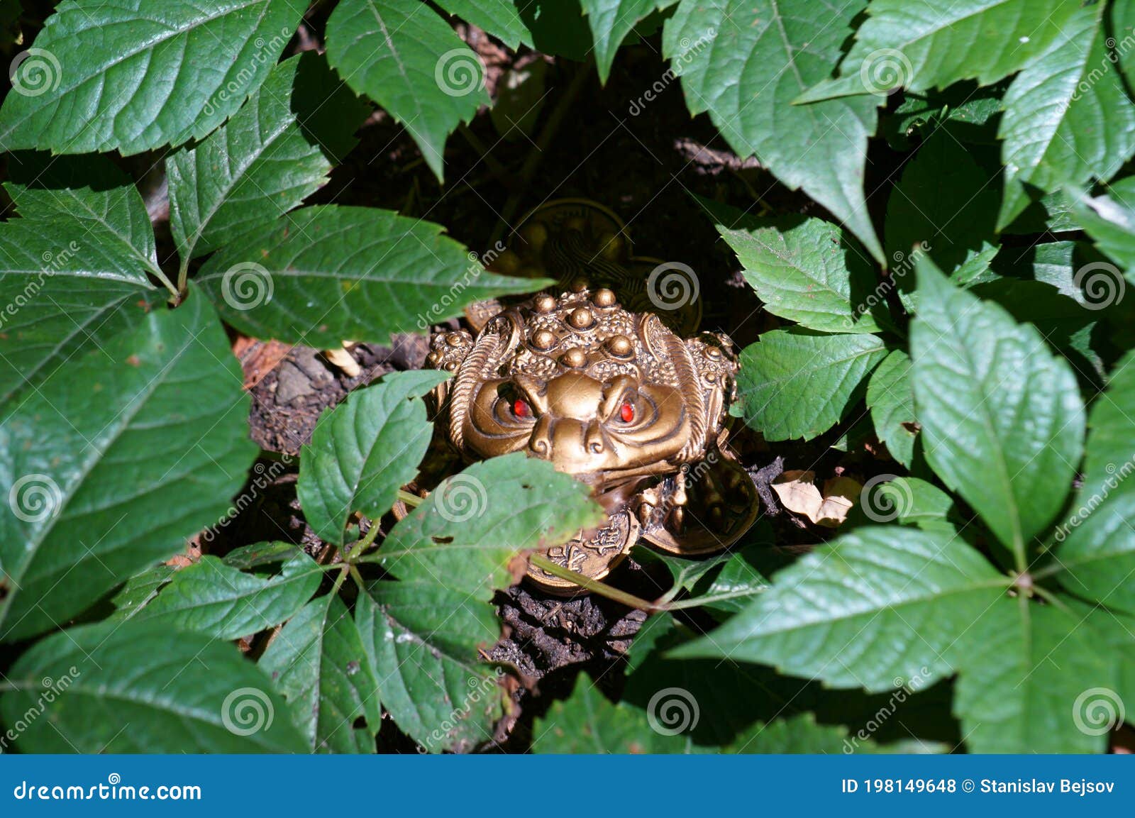 Metal Toad Feng Shui On The Background Of A Concrete Wall Stock ...