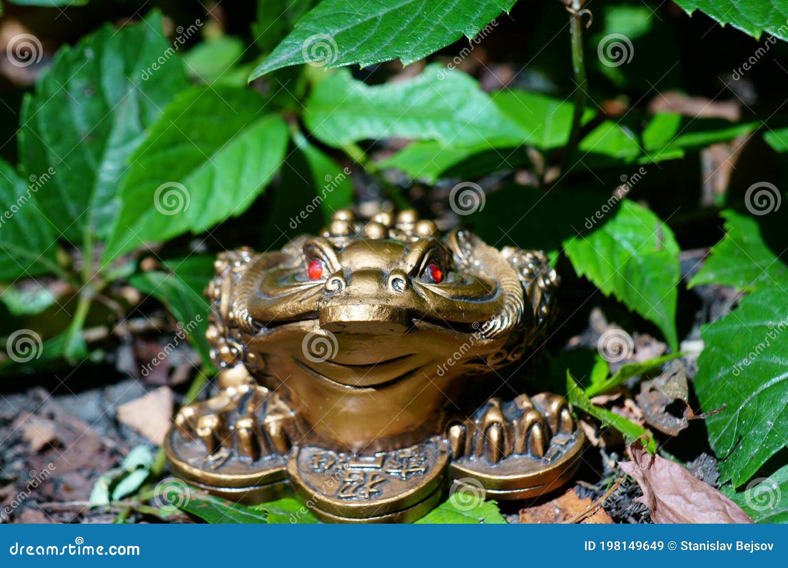A Metal Toad in the Green Grass. Symbol of Good Luck in Financial ...