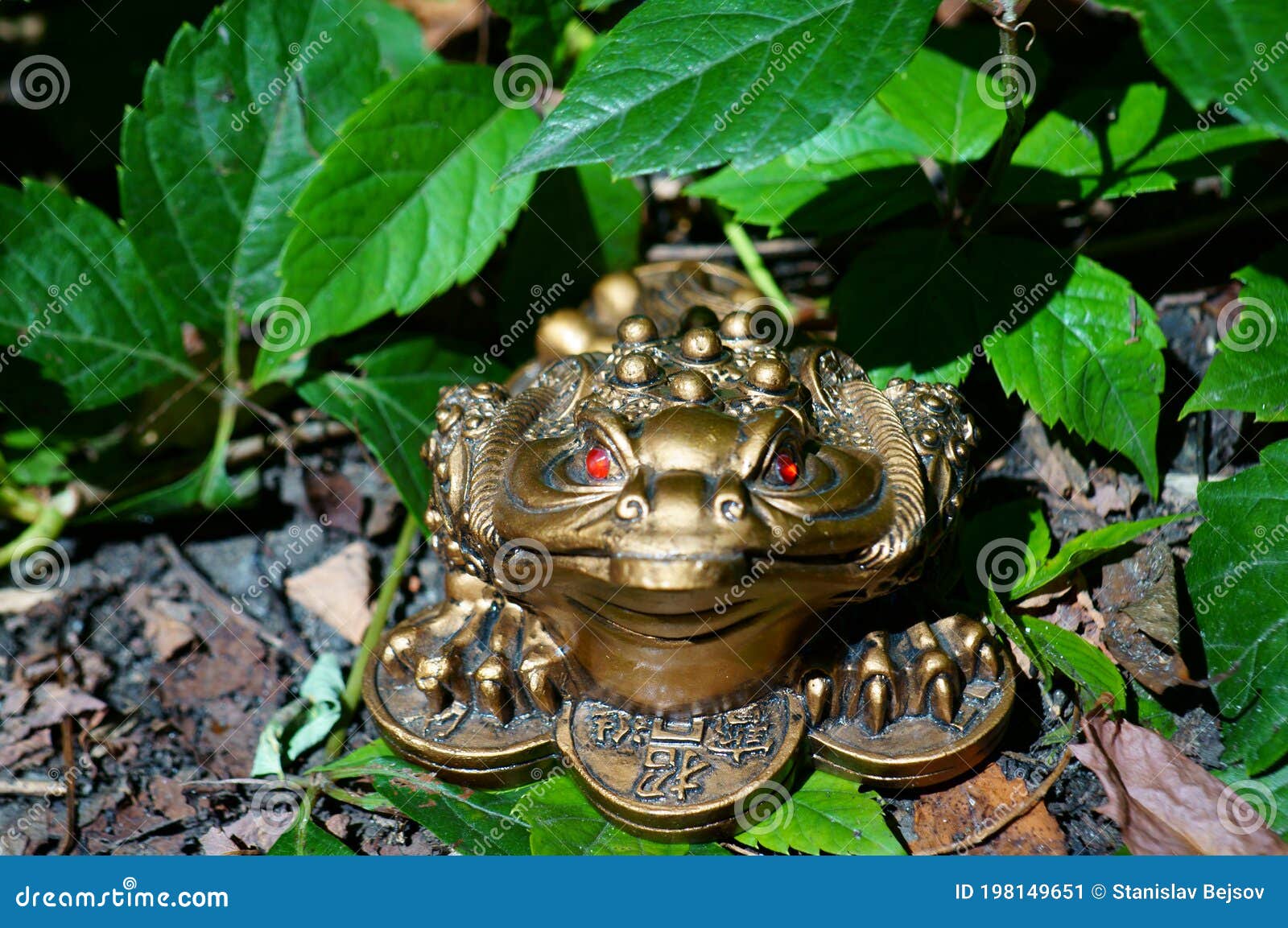 A Metal Toad in the Green Grass. Symbol of Good Luck in Financial ...
