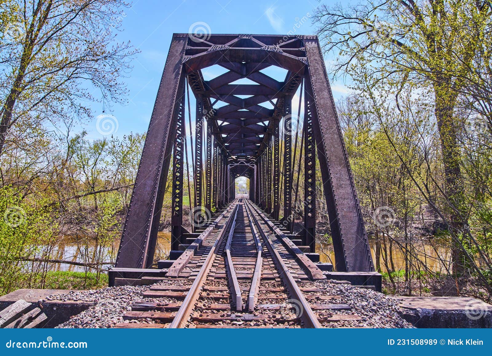 Metal Train Track Bridge Over River in Forest Stock Image - Image of ...