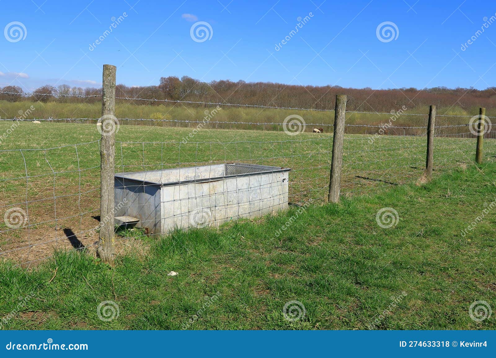 Metal Trough in a Field for Sheep Stock Photo - Image of scenic ...