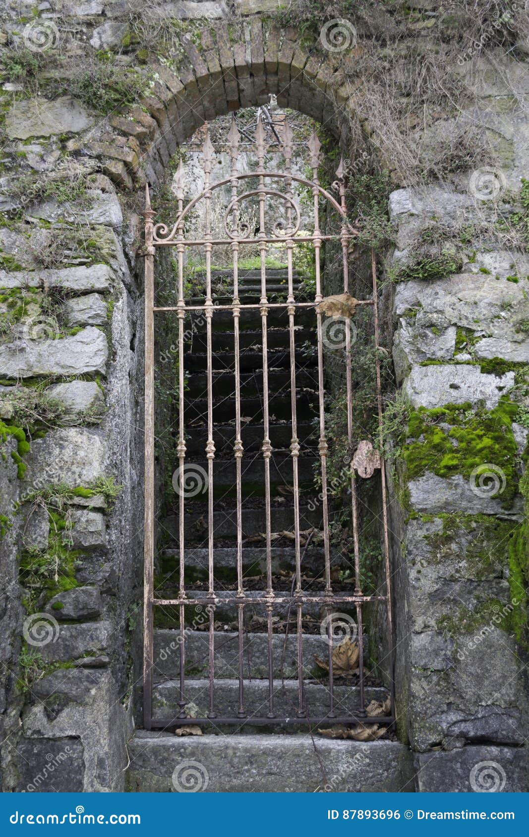 Metal wicket. stock photo. Image of green, wicket, stone - 87893696