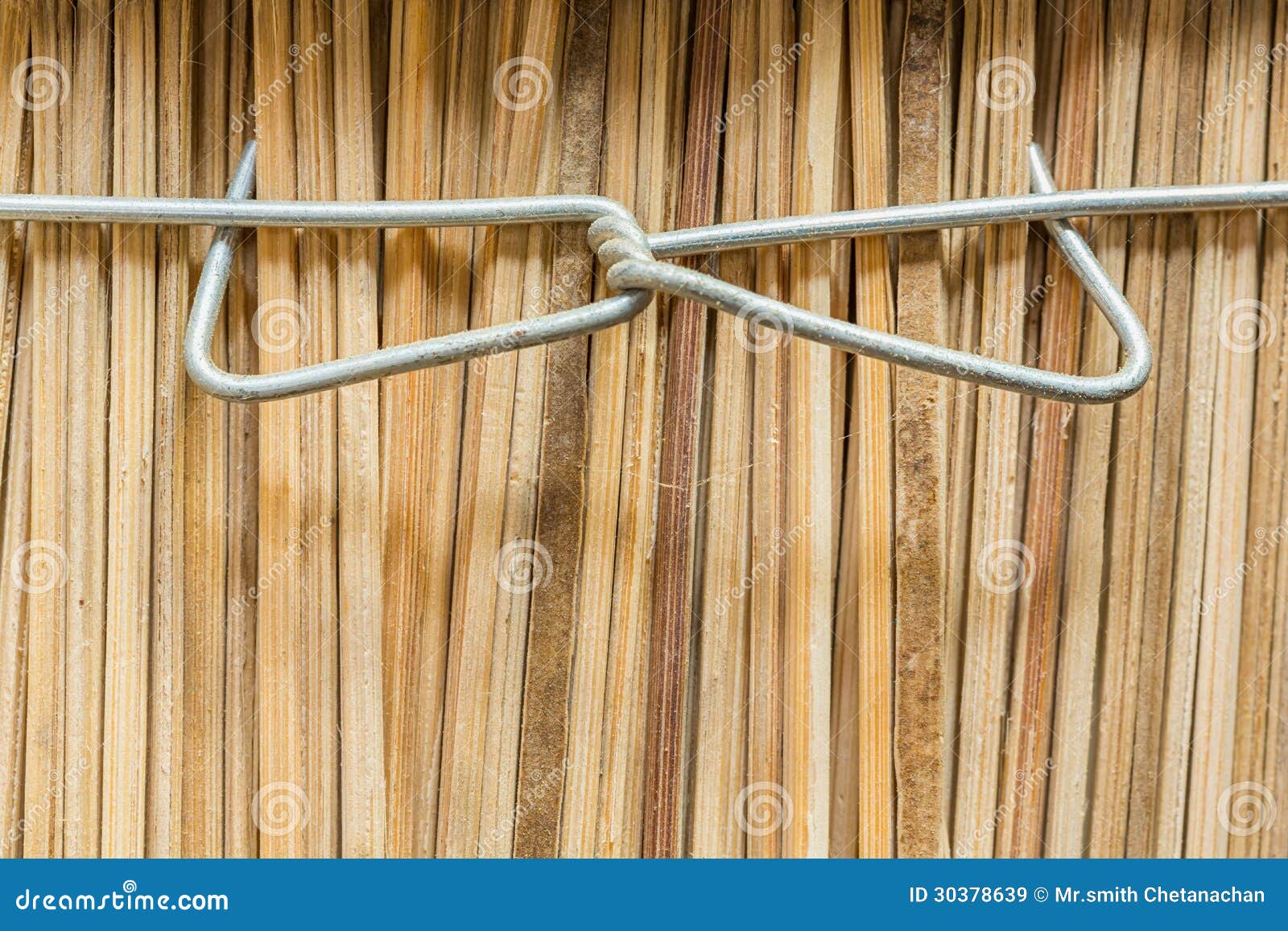 Metal wire and sticks stock image. Image of nature, group - 30378639