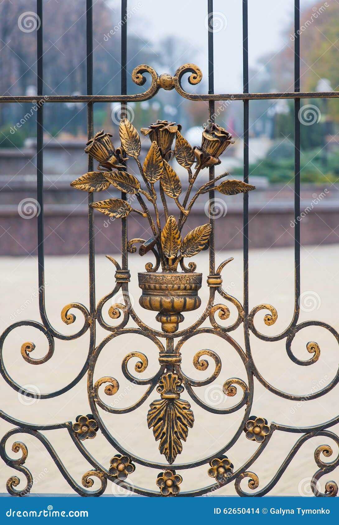 Metal Wrought-iron Gates With Floral Patterns Stock Photo - Image: 62650414