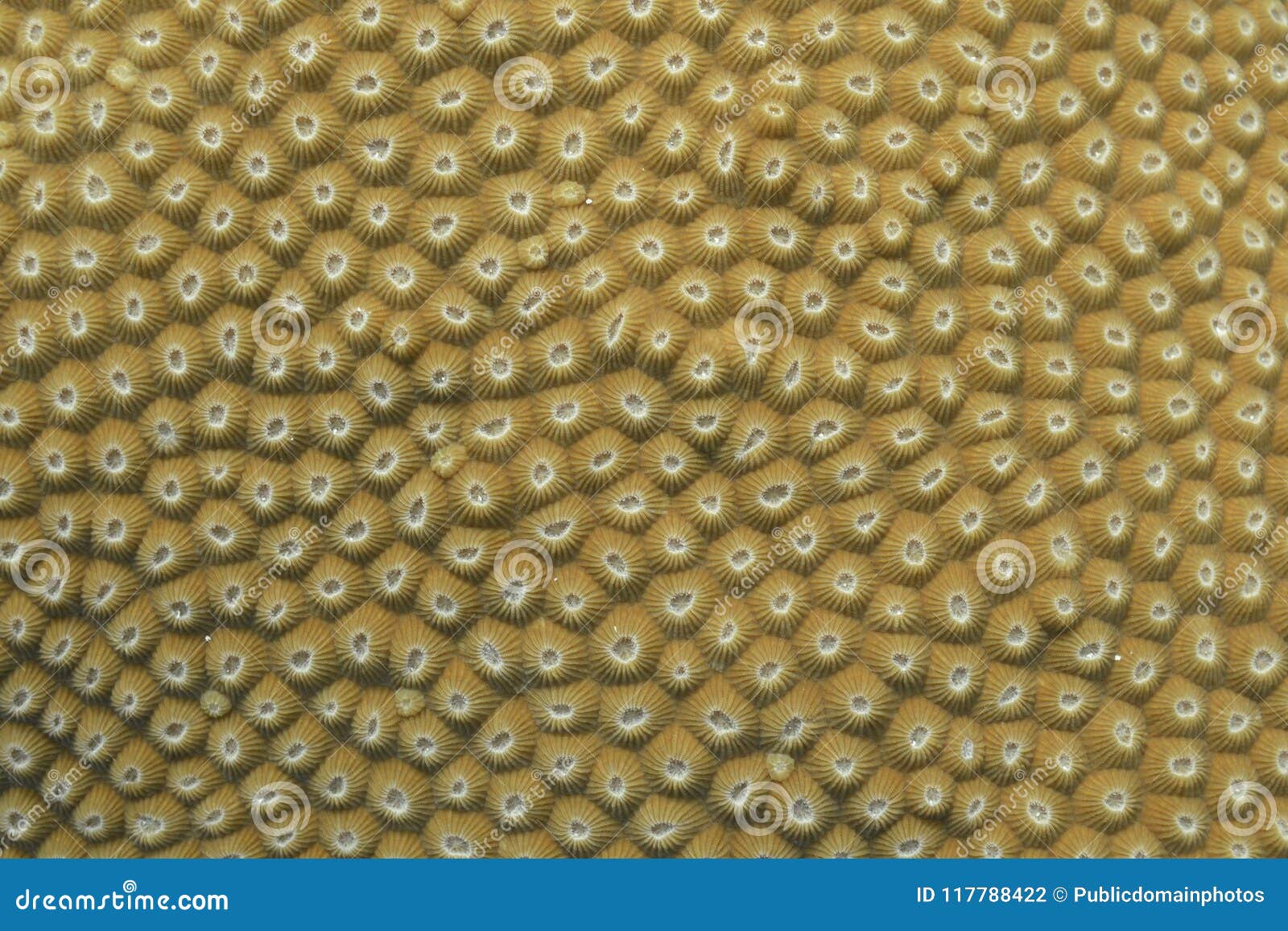 Metall Material, Modell, Textur Bild. Bild: 117788422