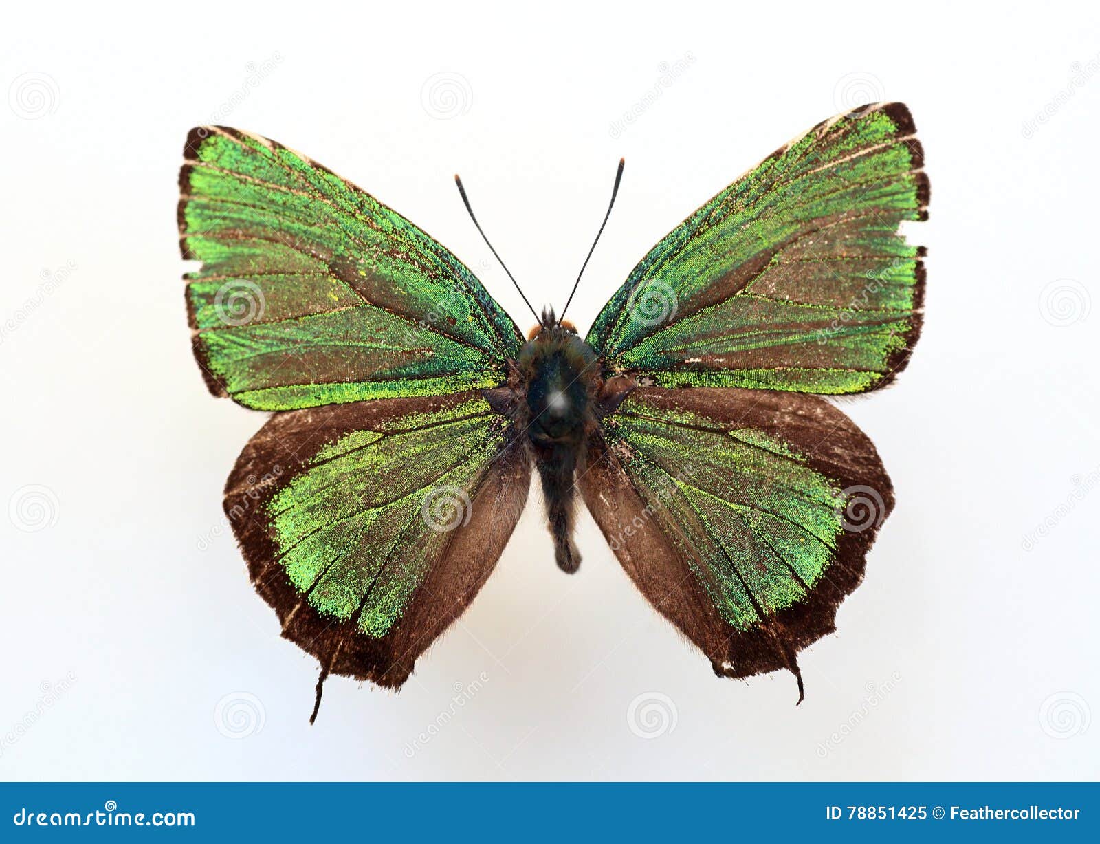 Metallic Cerulean stock image. Image of japanese, background - 78851425