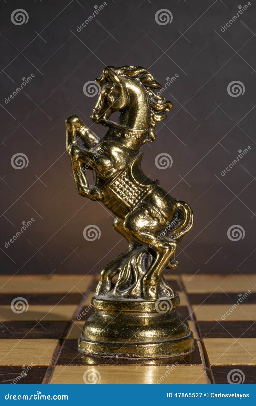 Metallic Chess Piece stock image. Image of mind, checkmate - 47865527