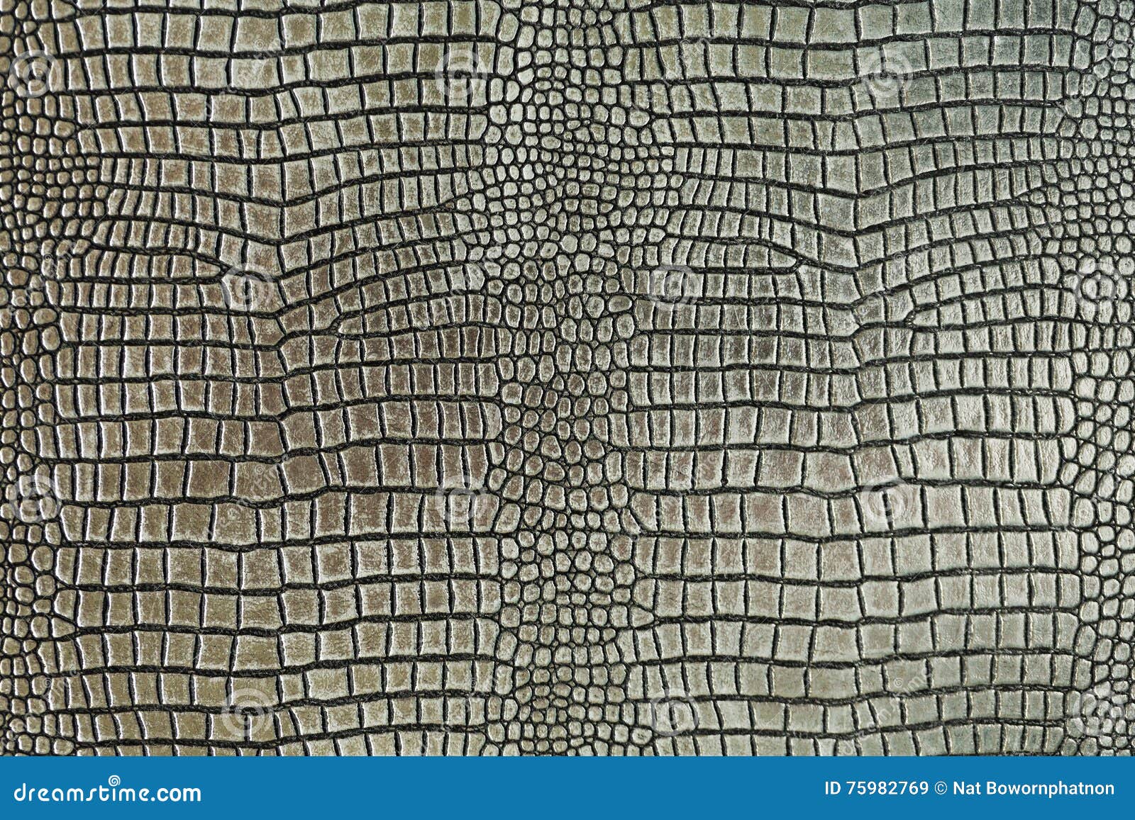 Crocodile Skin Pattern