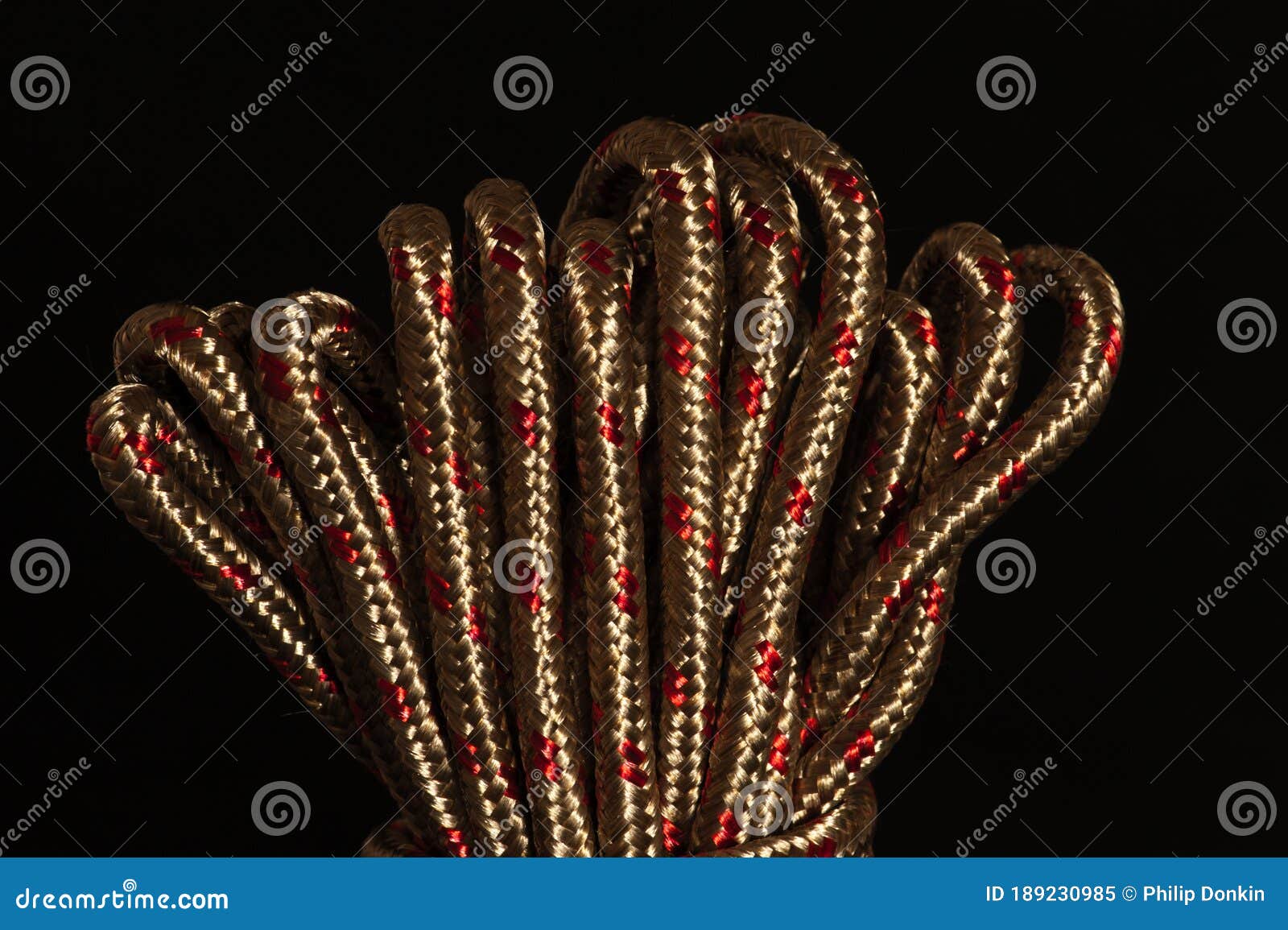 Metallic gold and red rope stock image. Image of transparent - 189230985
