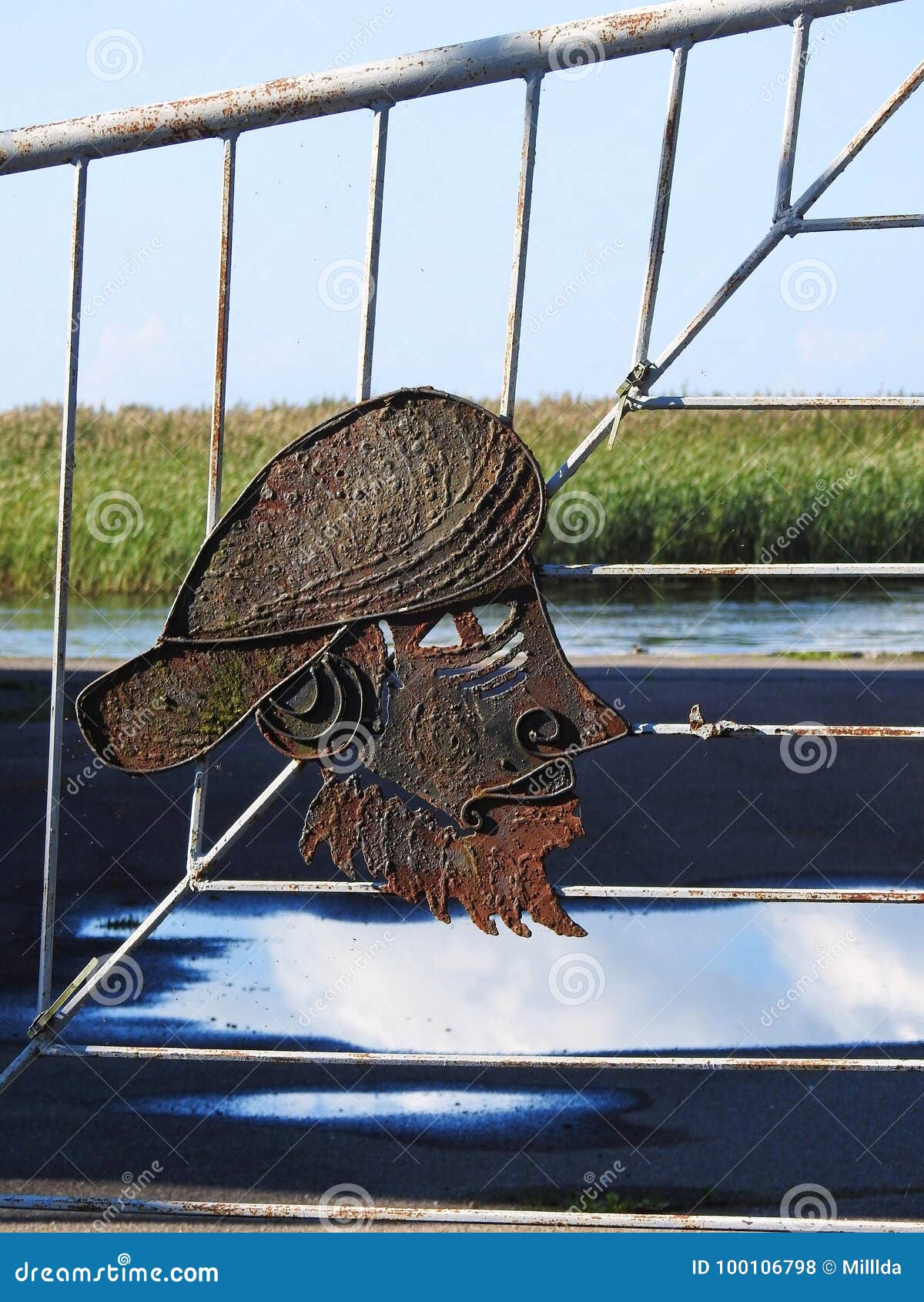 Metallic man face stock photo. Image of portrait, artistic - 100106798