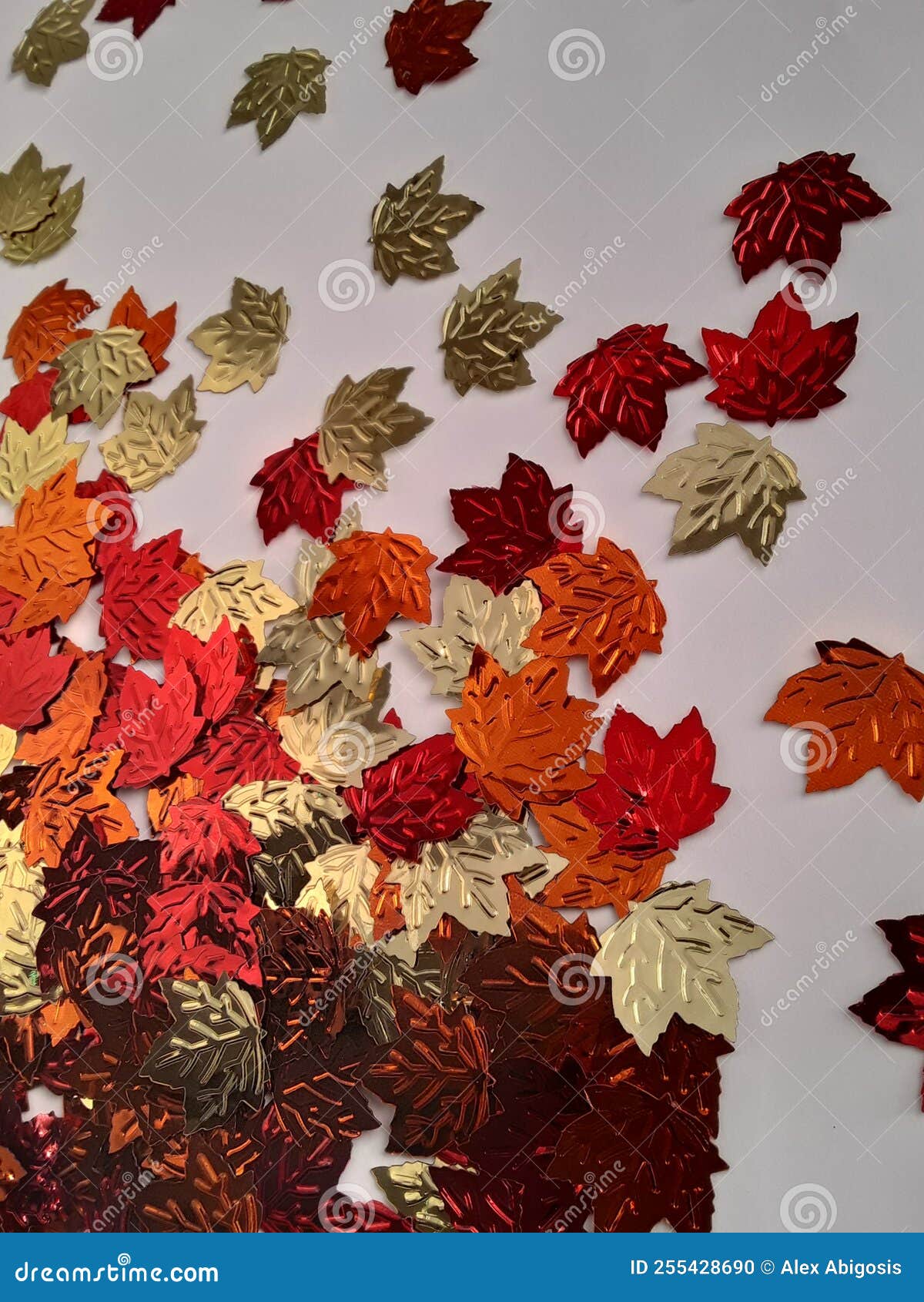 Metallic Maple Leaves Scattered on a White Background Stock ...