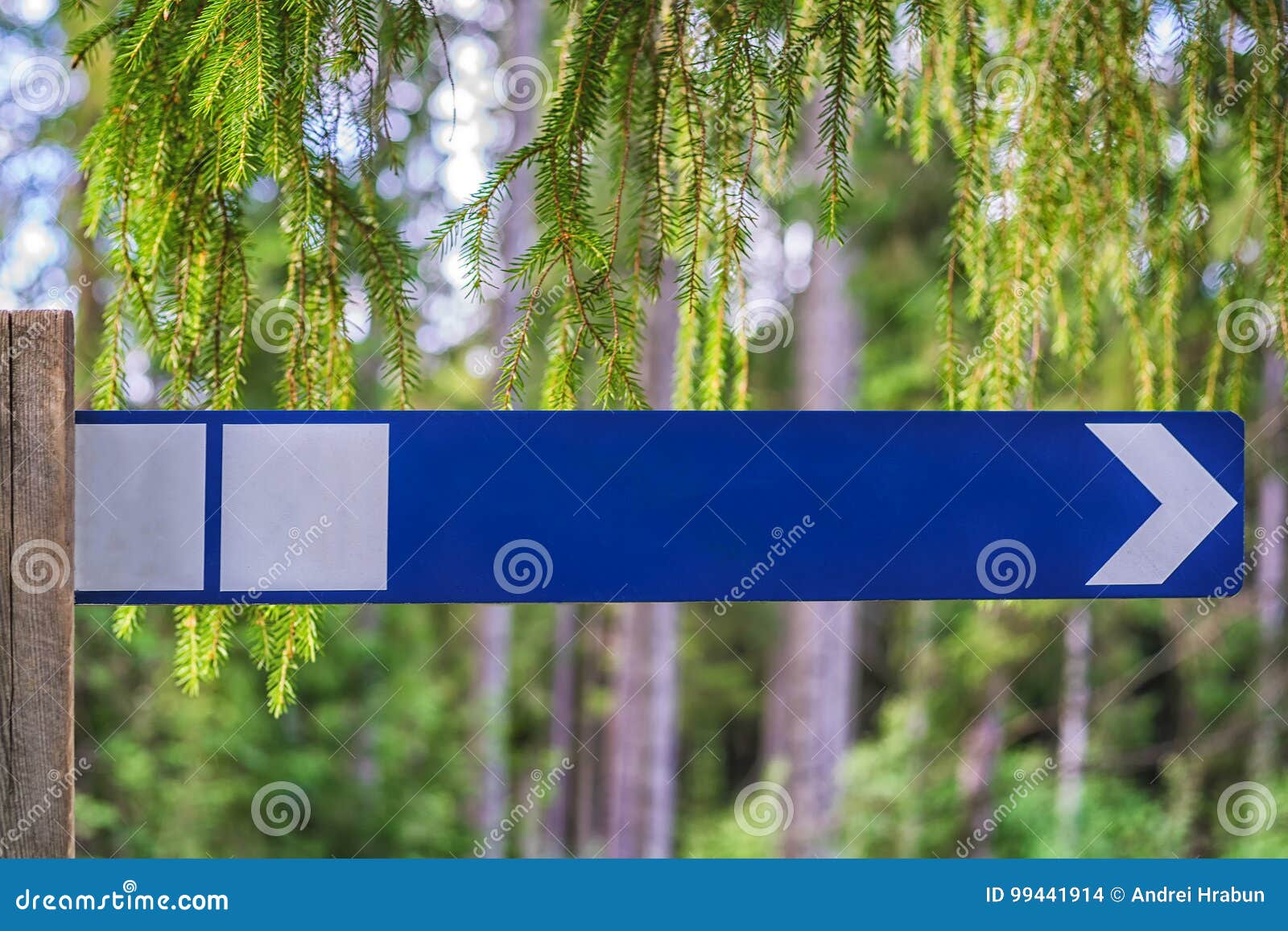 Metallic Navigation Sign in the Middle of the Forrest Stock Photo ...