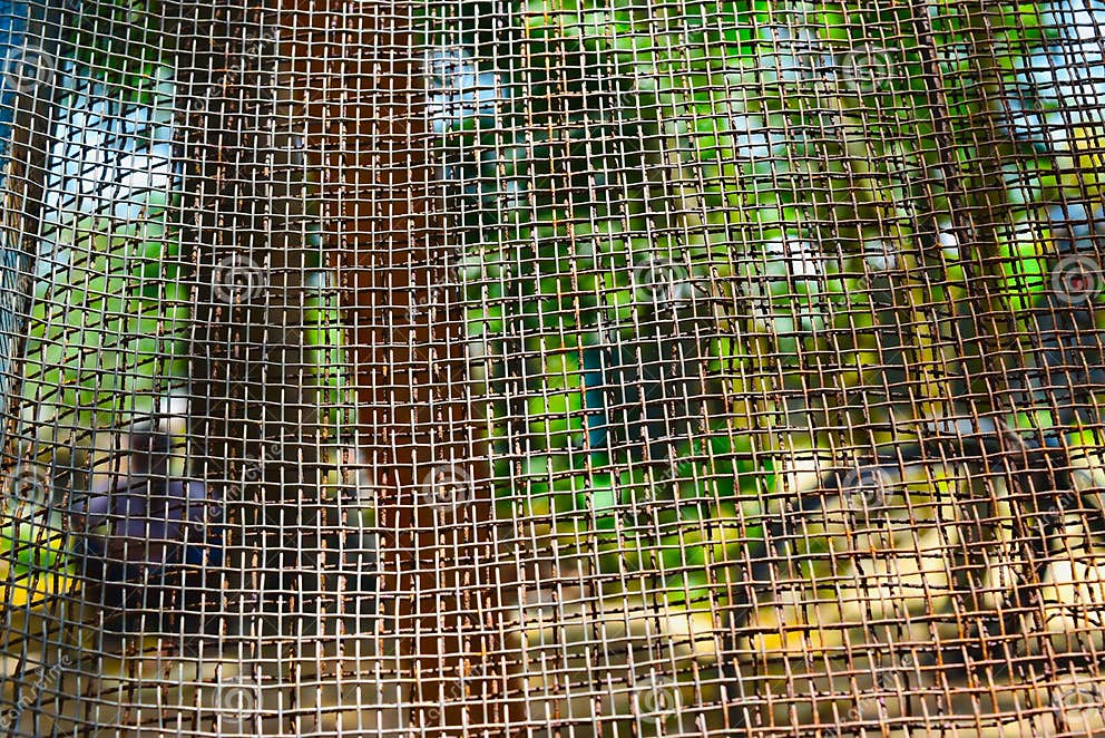 Metallic Nets Pattern Background Photo Stock Image - Image of backdrop ...