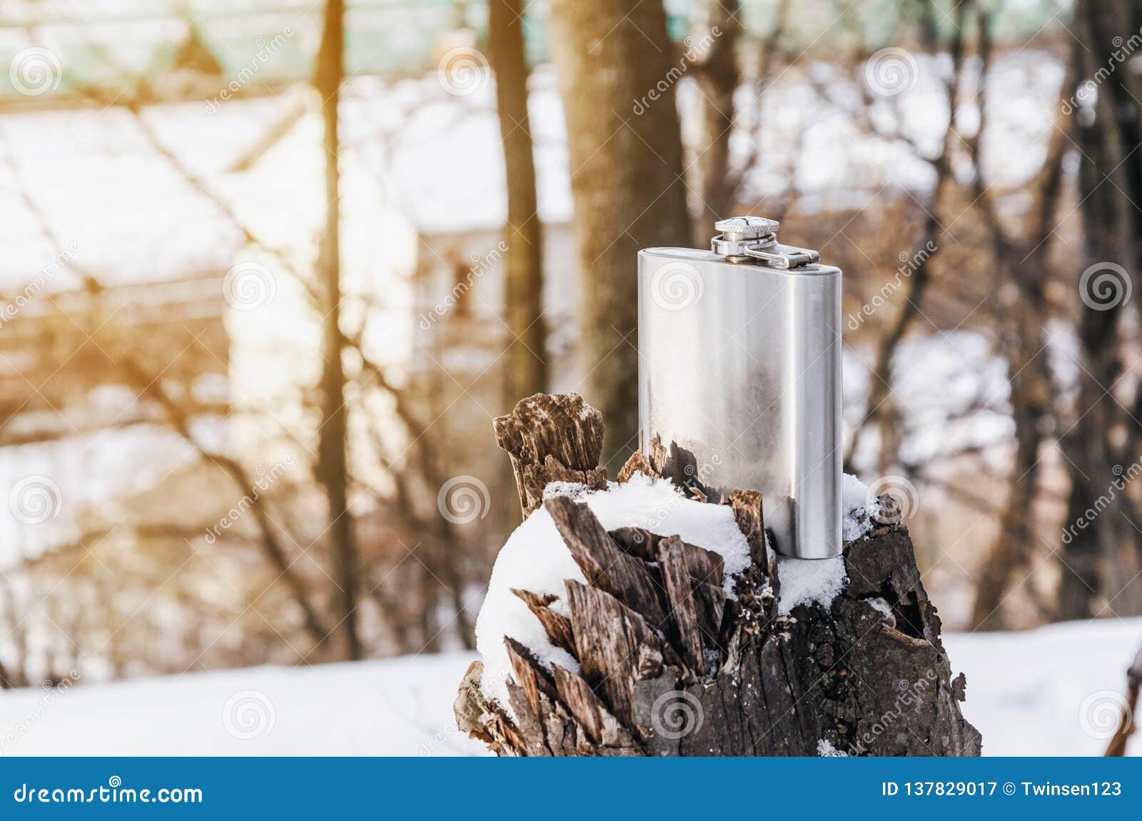 Metallic Shiny Flask for Alcohol on a Broken Tree Stump. Nature, Winter ...