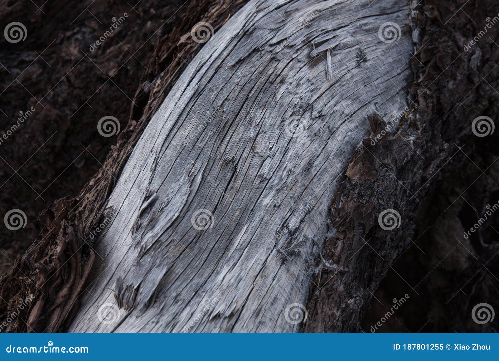Metallic wooden texture stock image. Image of cave, jade - 187801255