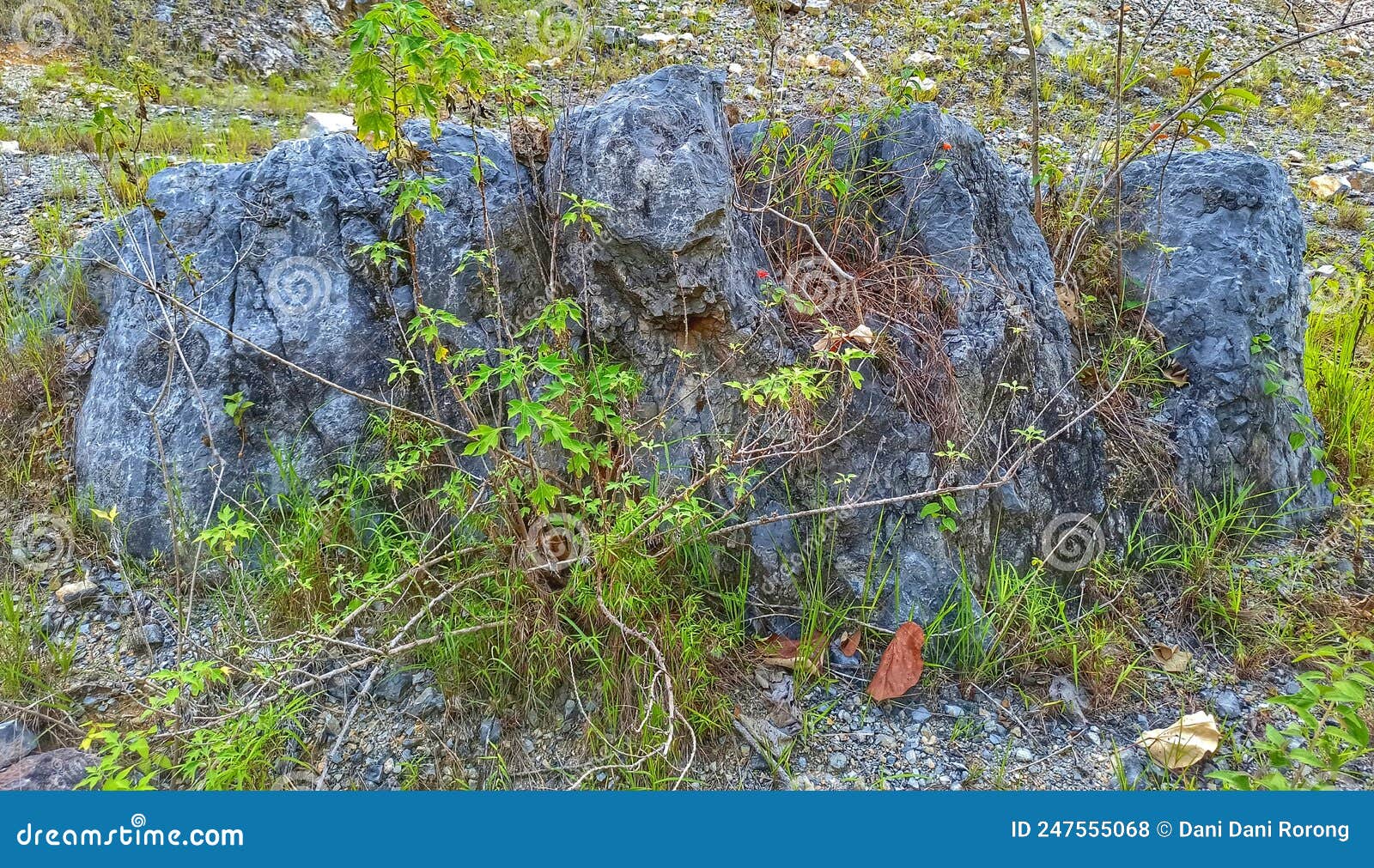 Metamorphic Rock, Quartz, Marble, Lavarock, Rock Formation, Quartz ...