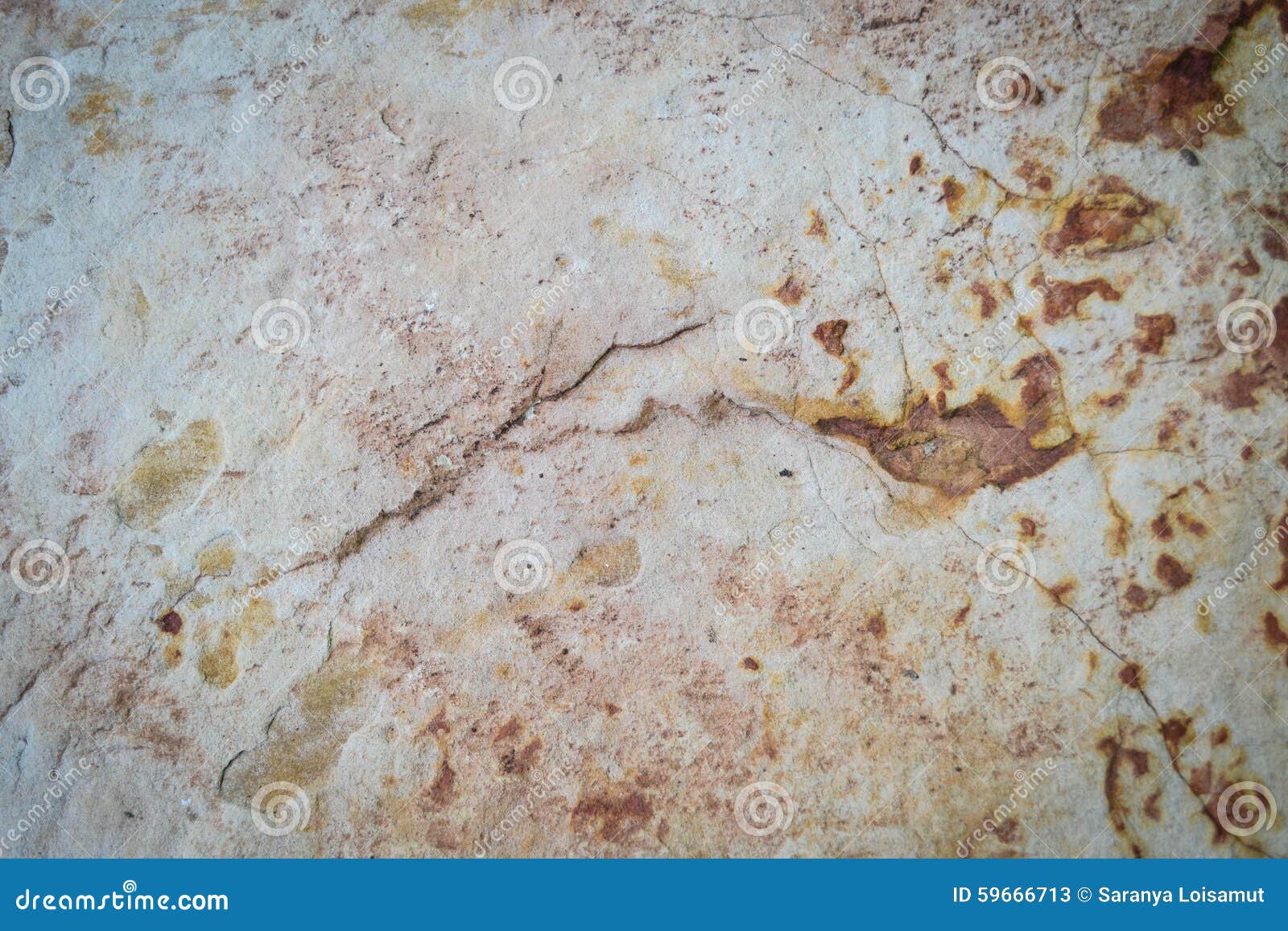 Metamorphic rock stock image. Image of rock, gray, pattern - 59666713