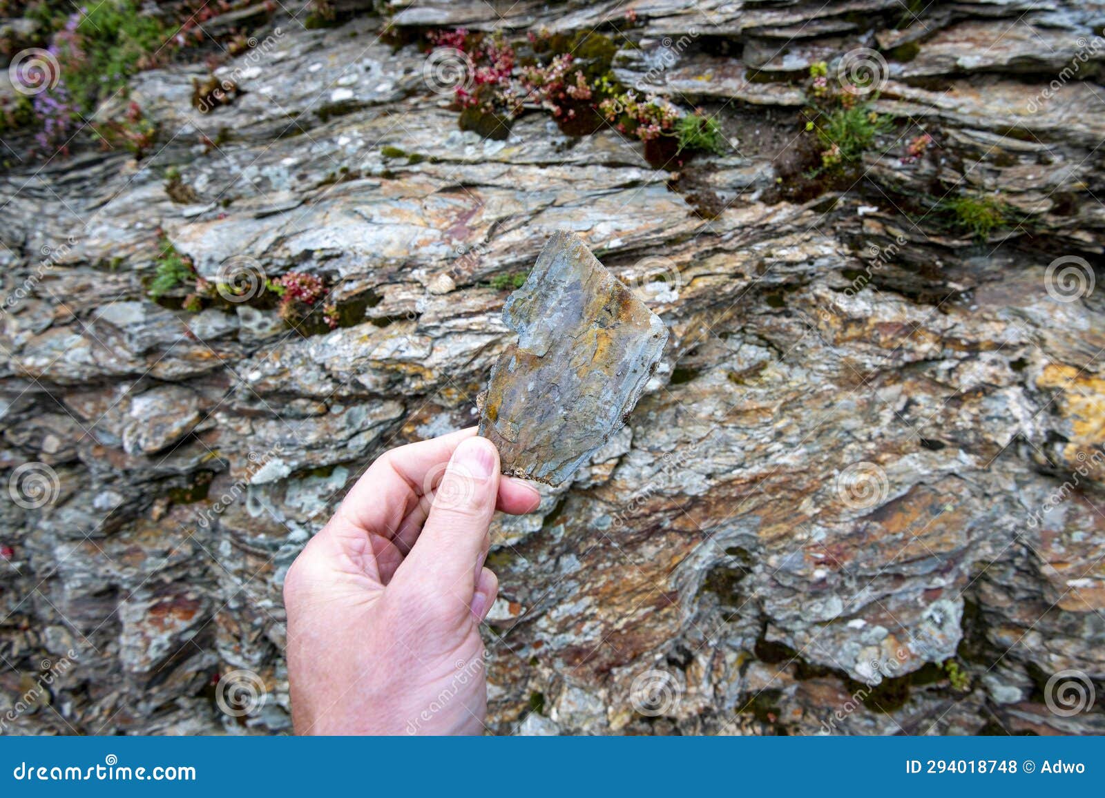 Metamorphic Slate Rock stock photo. Image of rock, flaky - 294018748