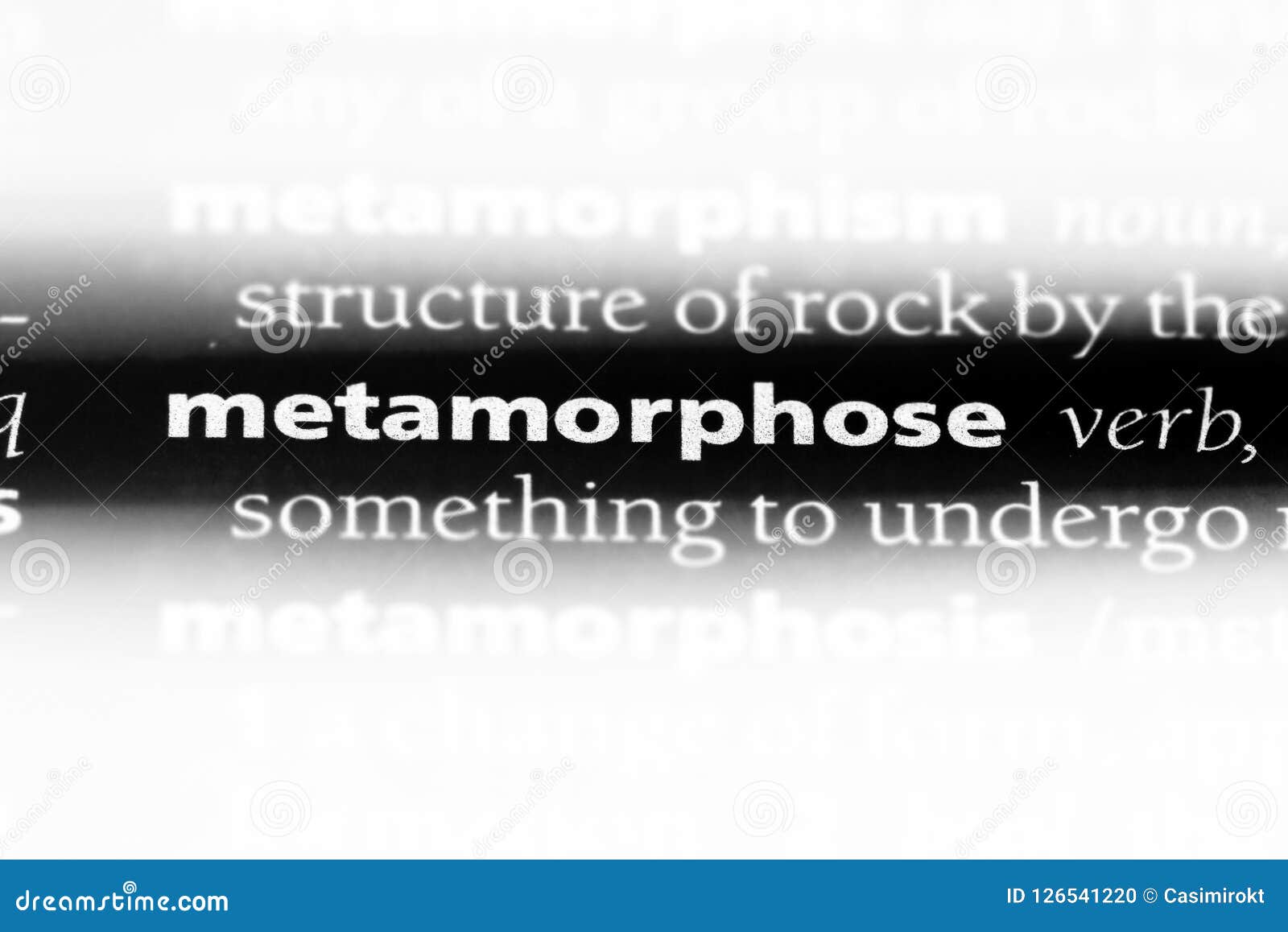 Metamorphose stock photo. Image of dictionary, concept - 126541220