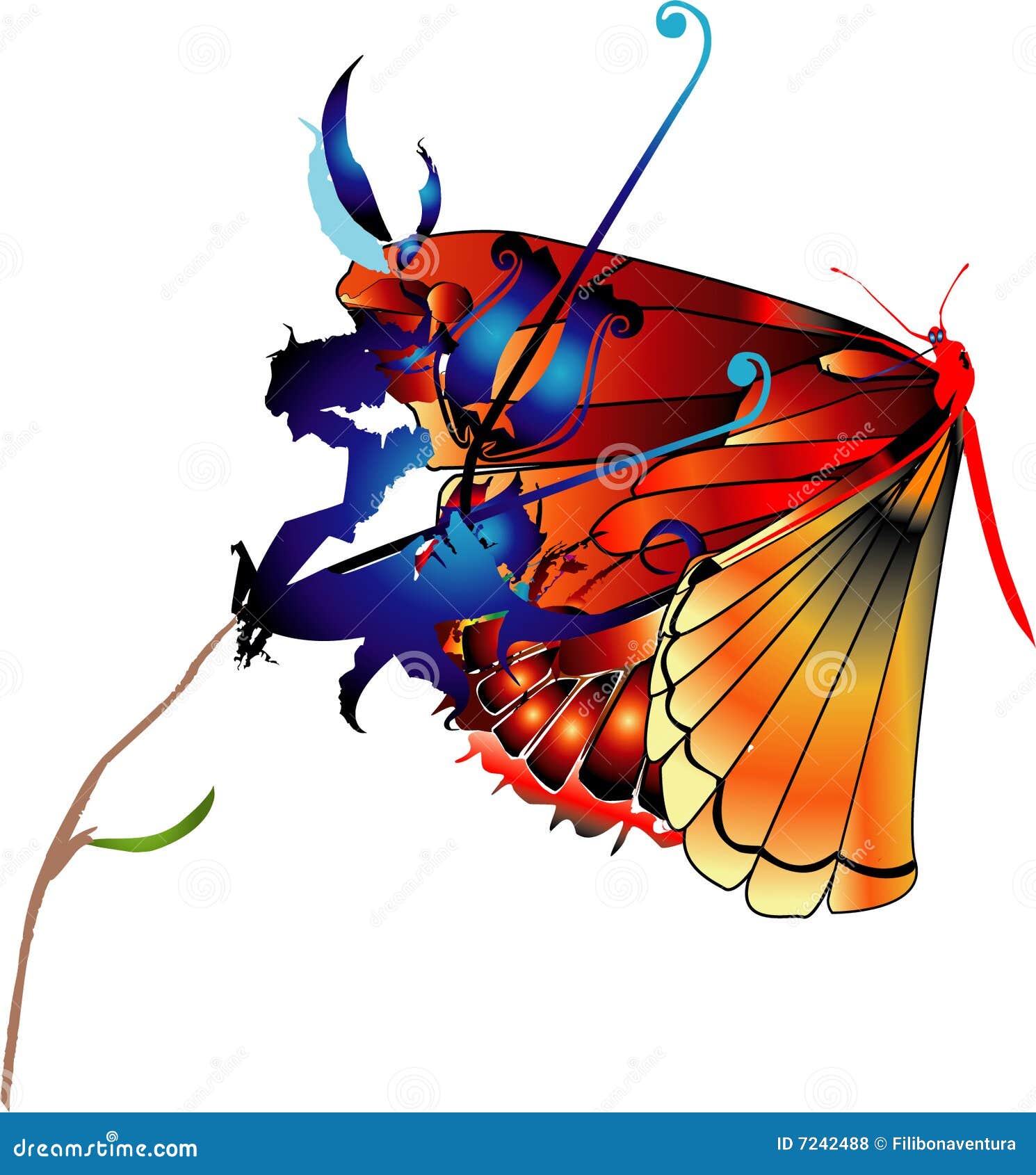 Metamorphosis 1 stock vector. Illustration of insect, study - 7242488